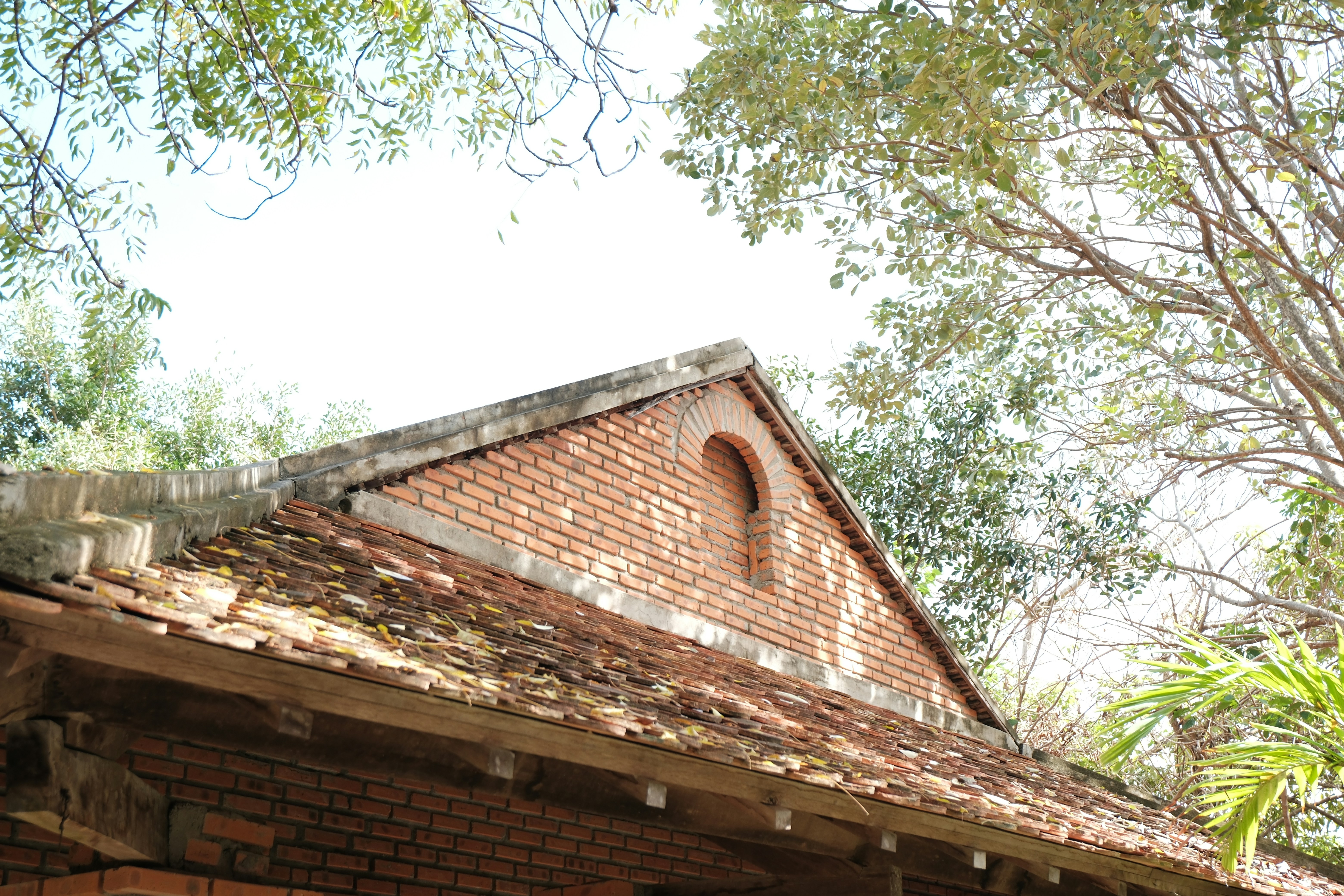 Brick Roofline Under Leafy Canopy