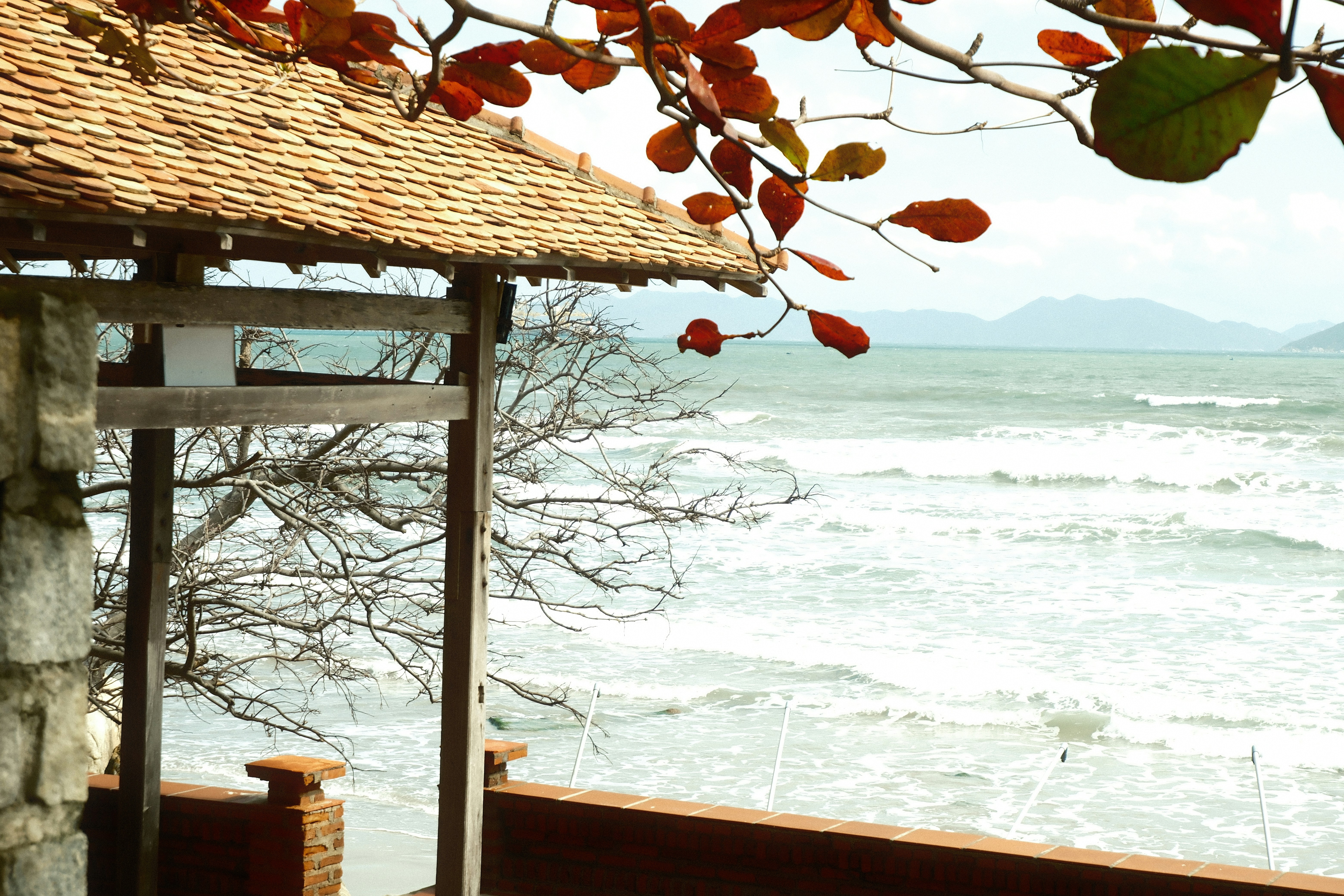 Seaside Shutter: A Quiet Moment Under a Tiled Roof