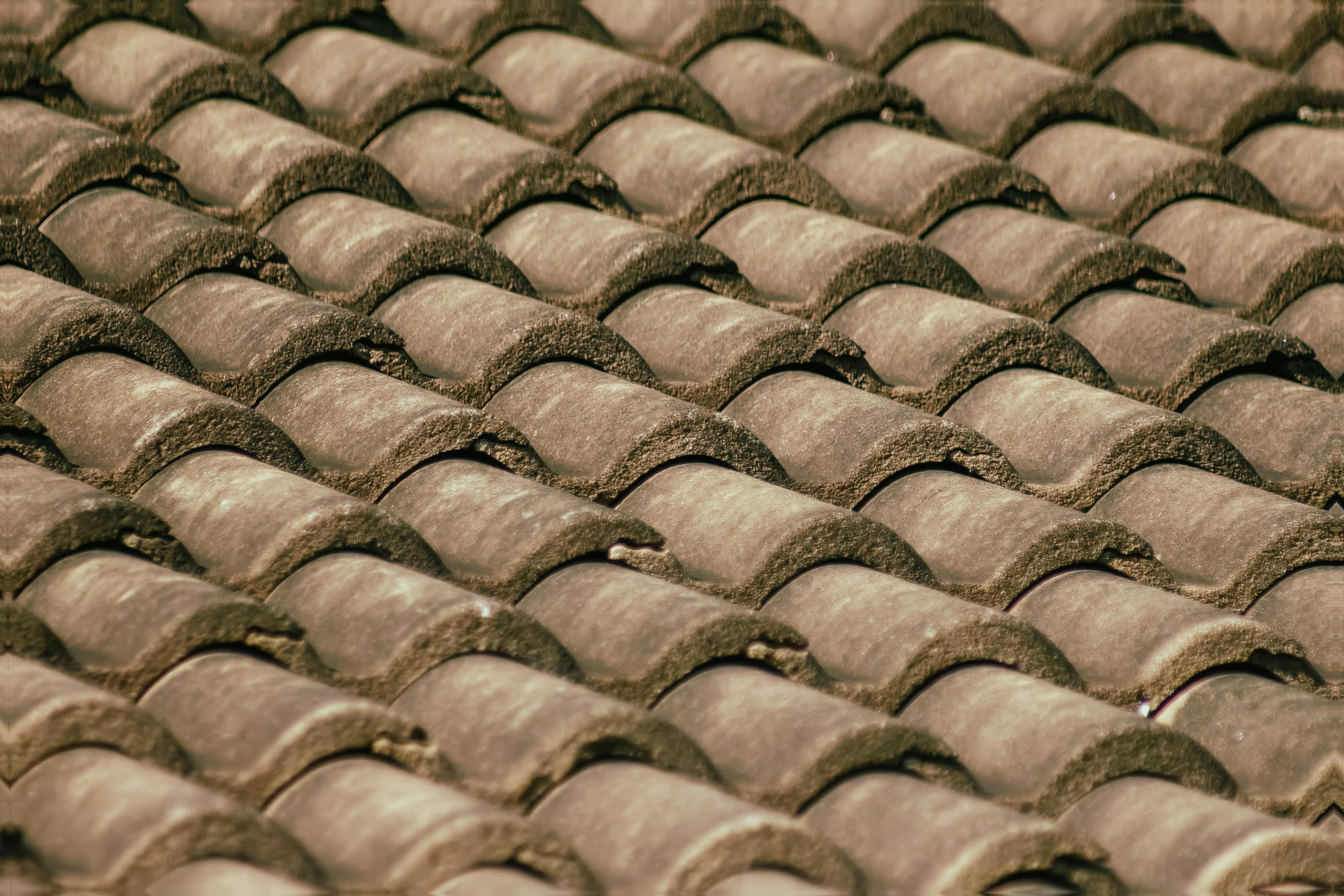 Rhythmic Tiles: A Closer Look at Repeating Curves