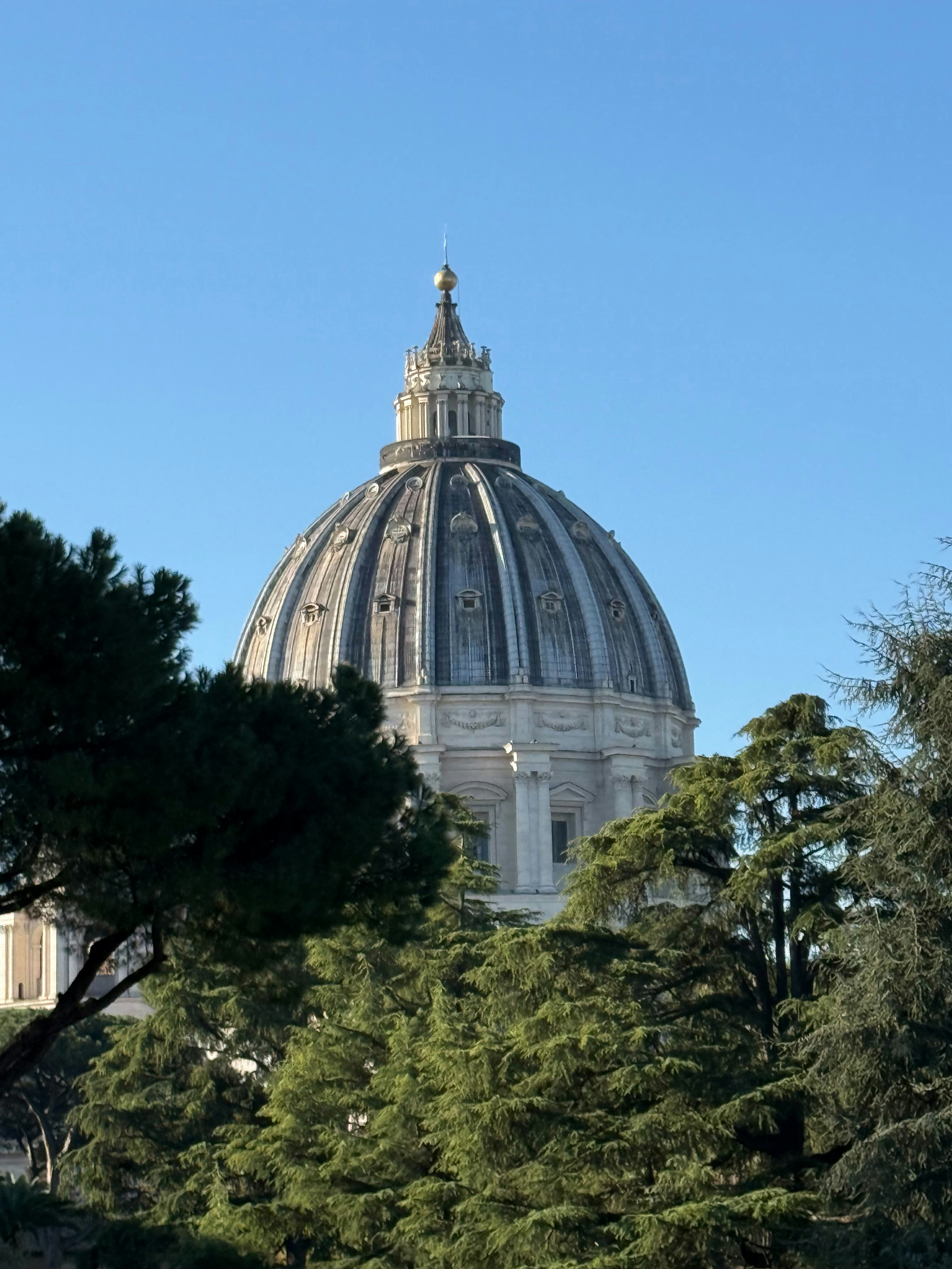 Dome of a grand basilica rising above a canopy