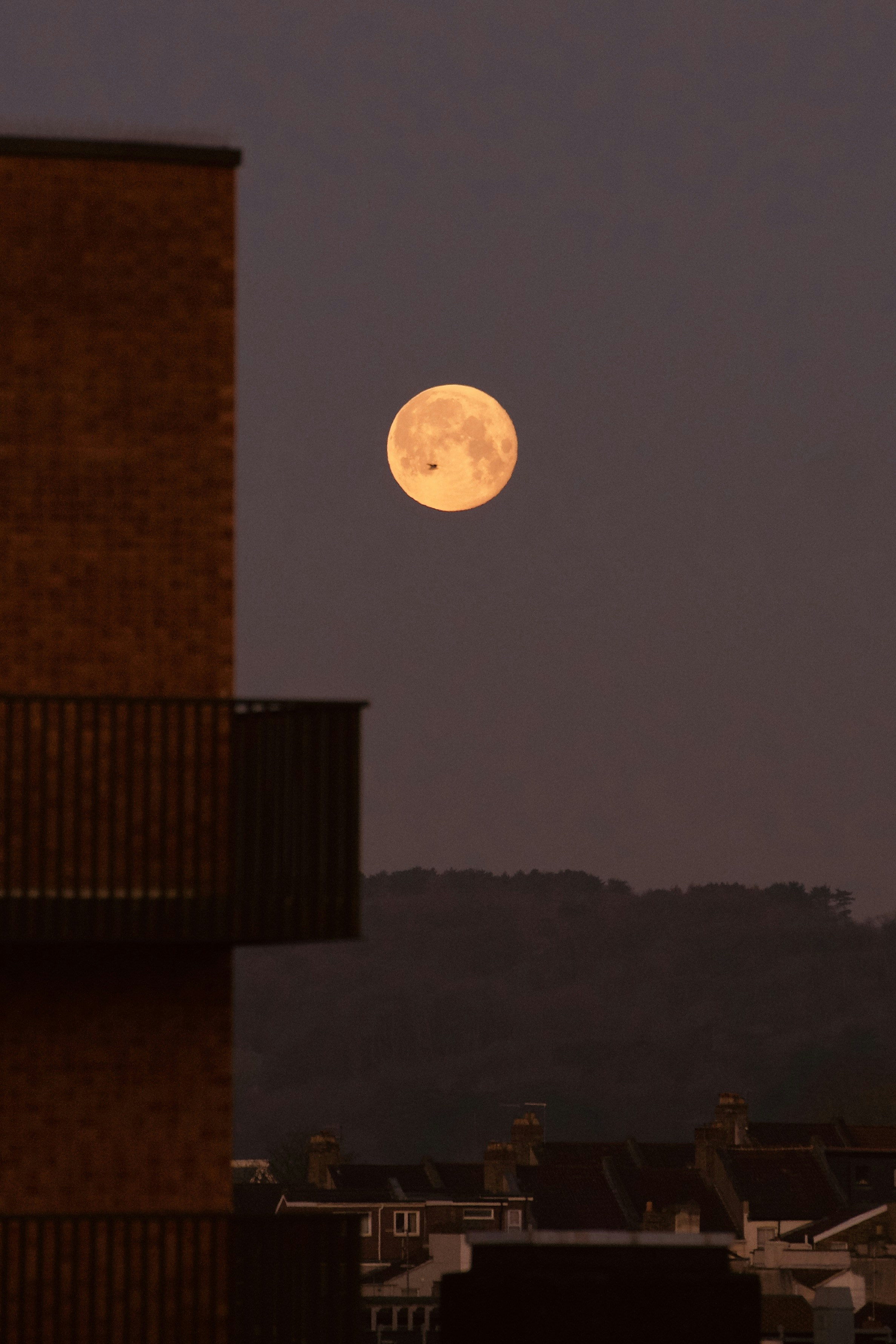 Moonrise Behind the Urban Silhouette