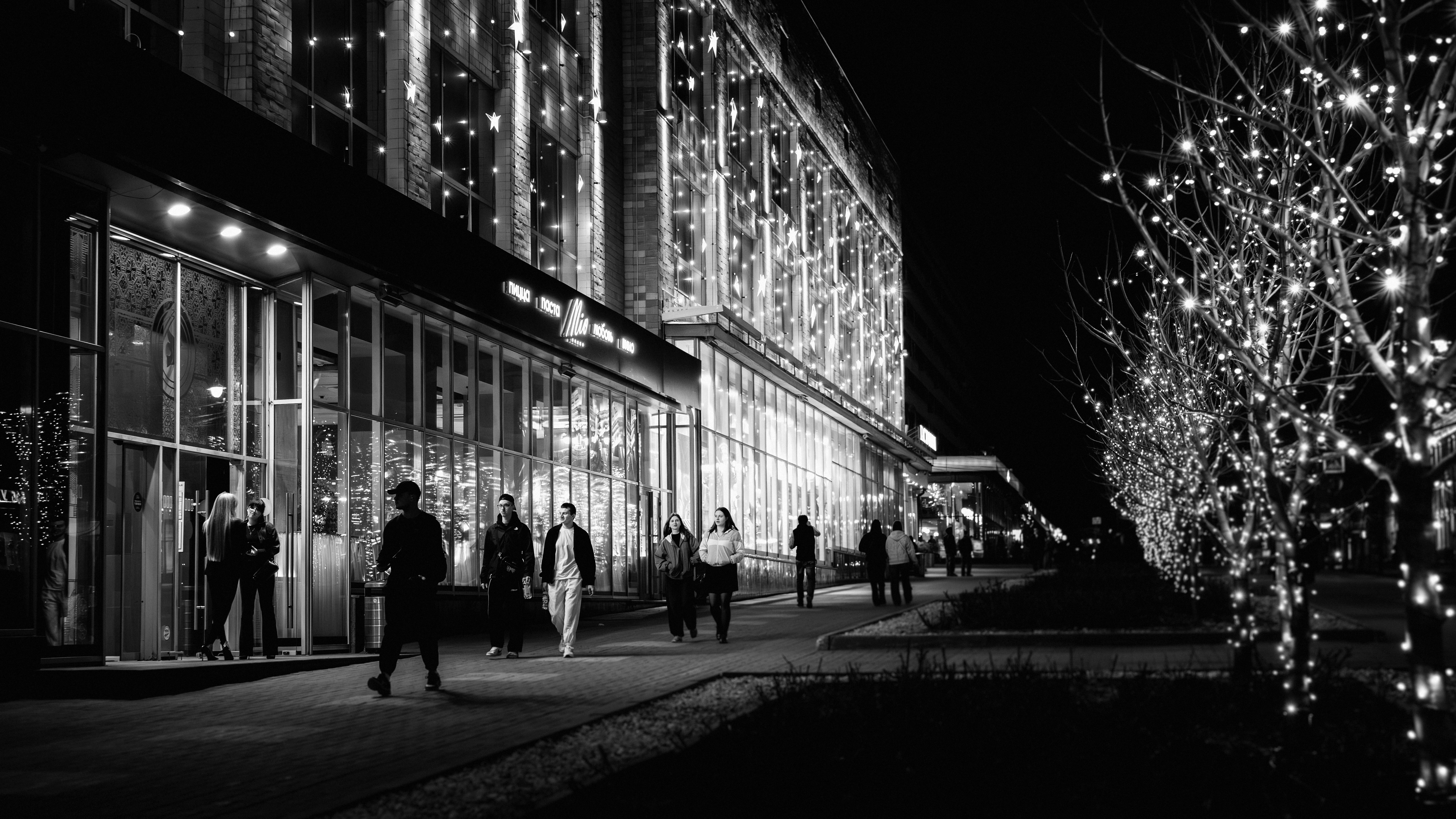 Night Pulse Along the Glassed Boulevard