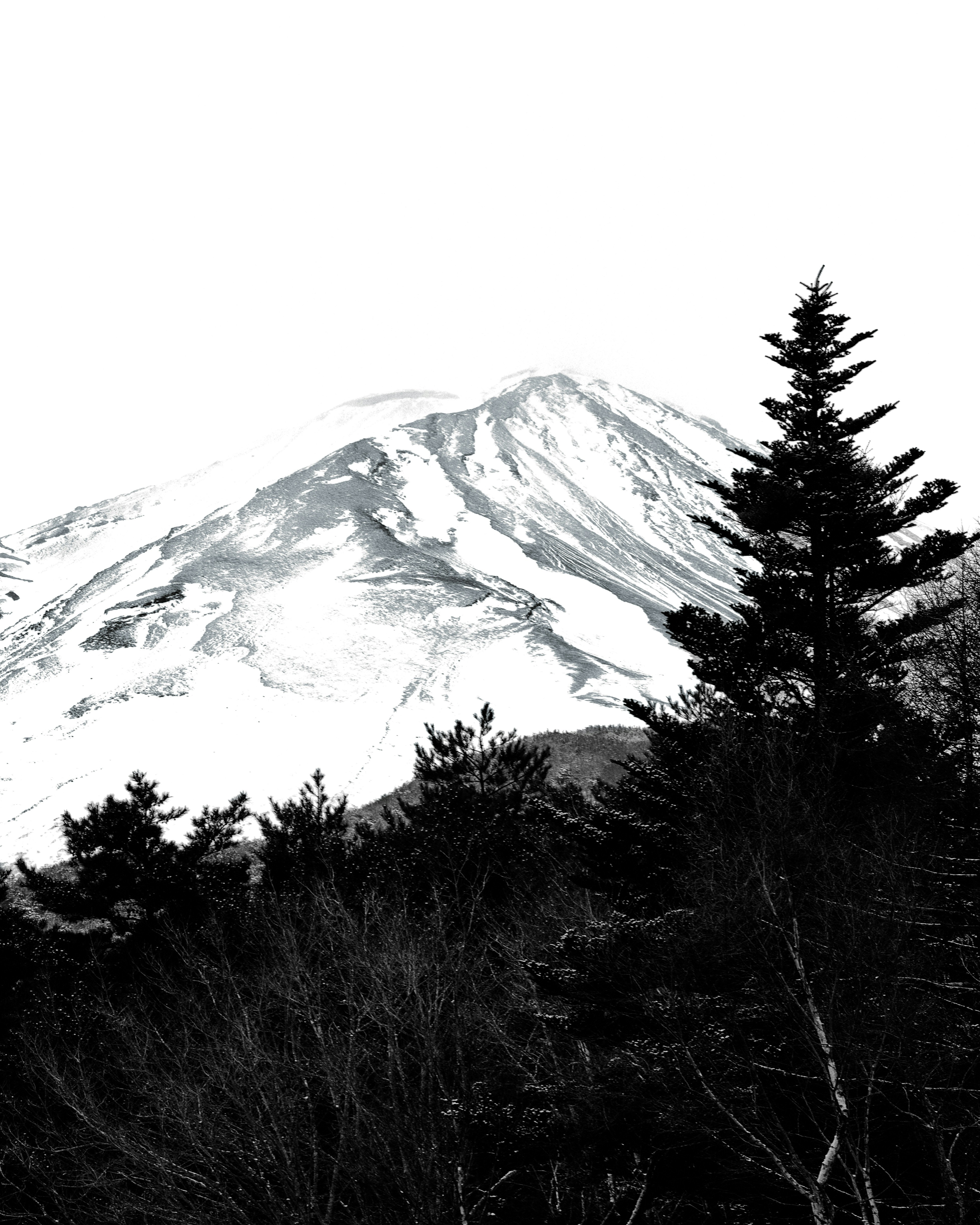 Snow-Crowned Peak Emerging Above a Dark Forest Silhouette