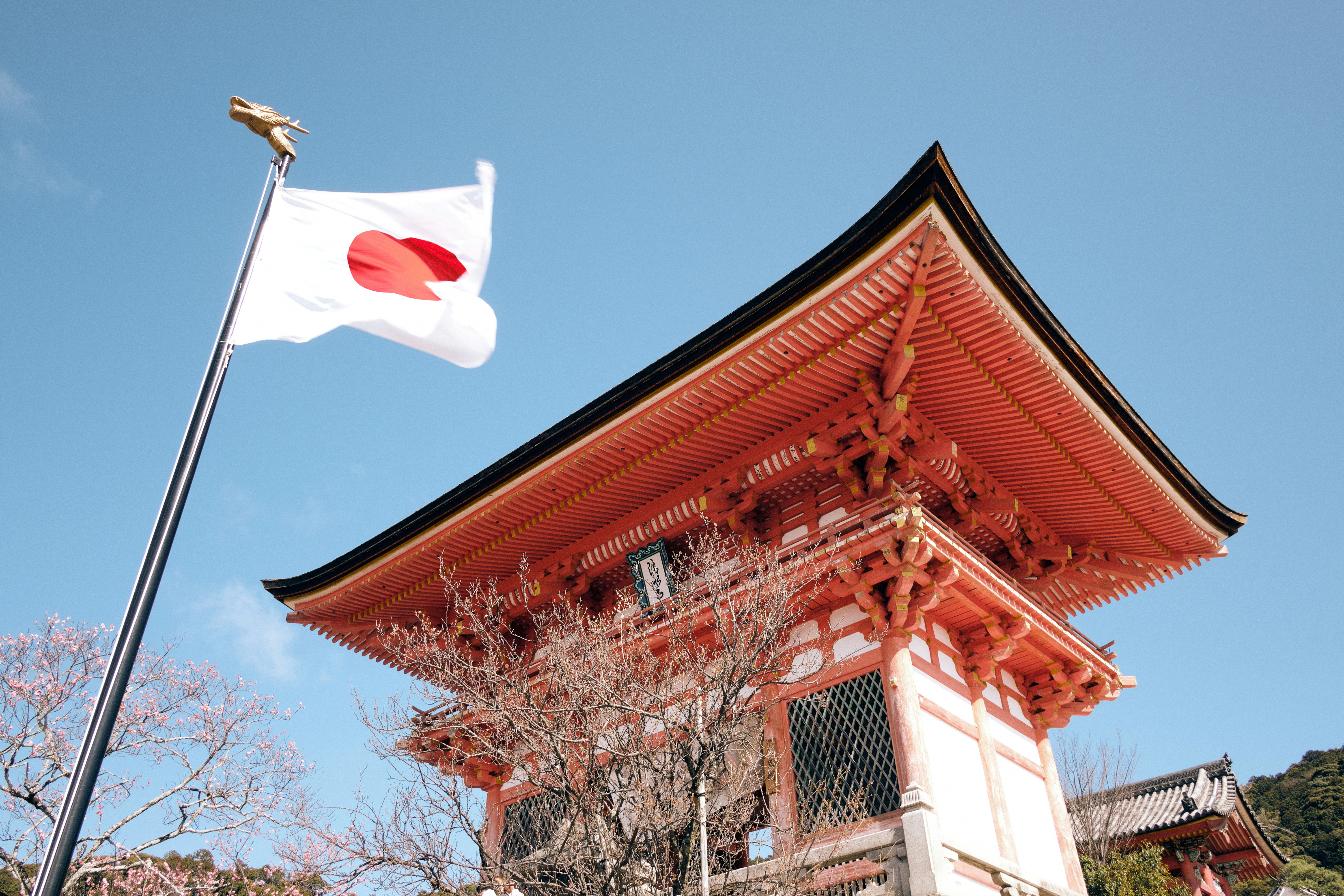 Red Gate in Clear Blue: A Japanese Temple Entrance Under Wide Sky