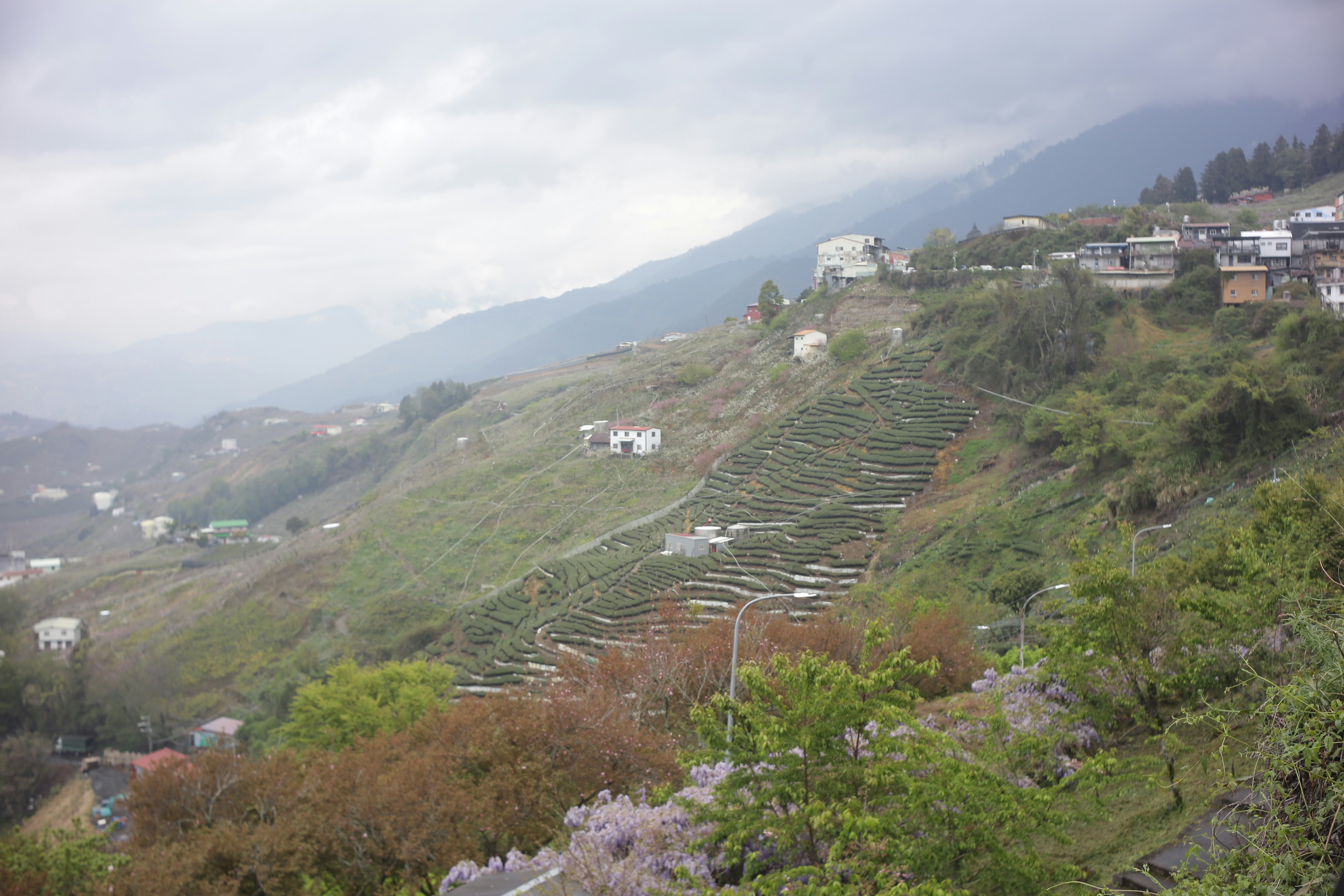 Terraced hillside village tucked into misty foothills