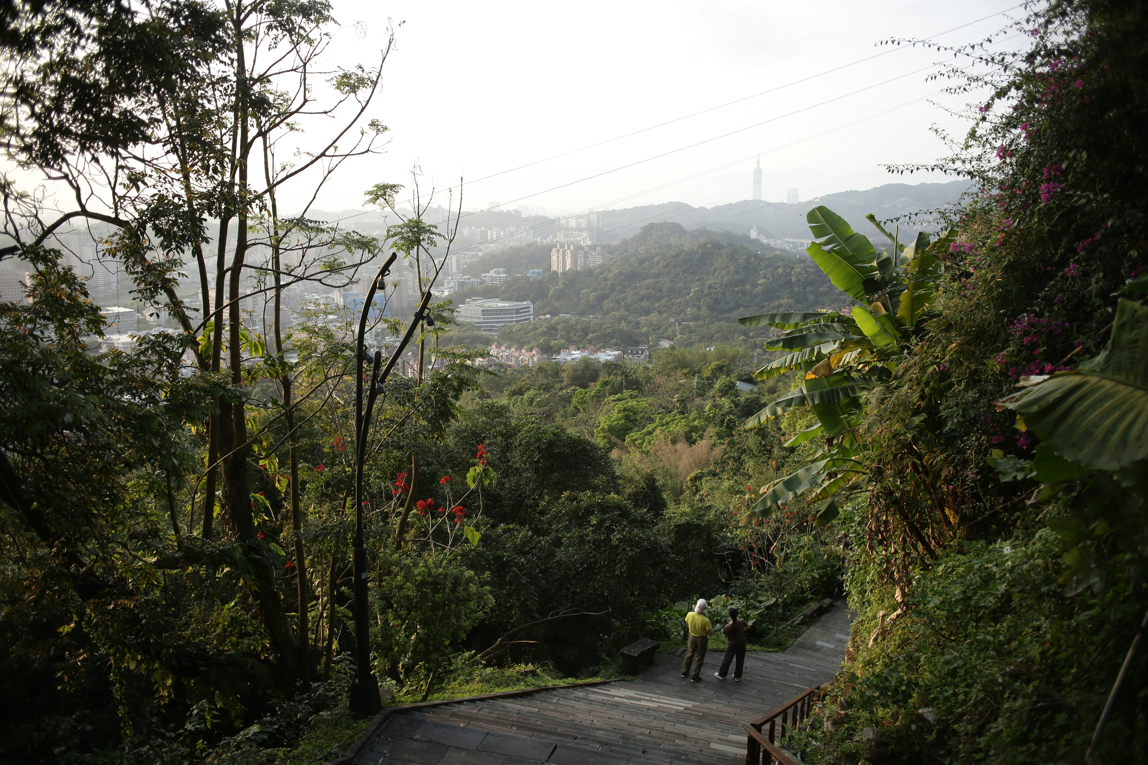 Paths in the Mist: Hike Through a Lush Balcony of Hills