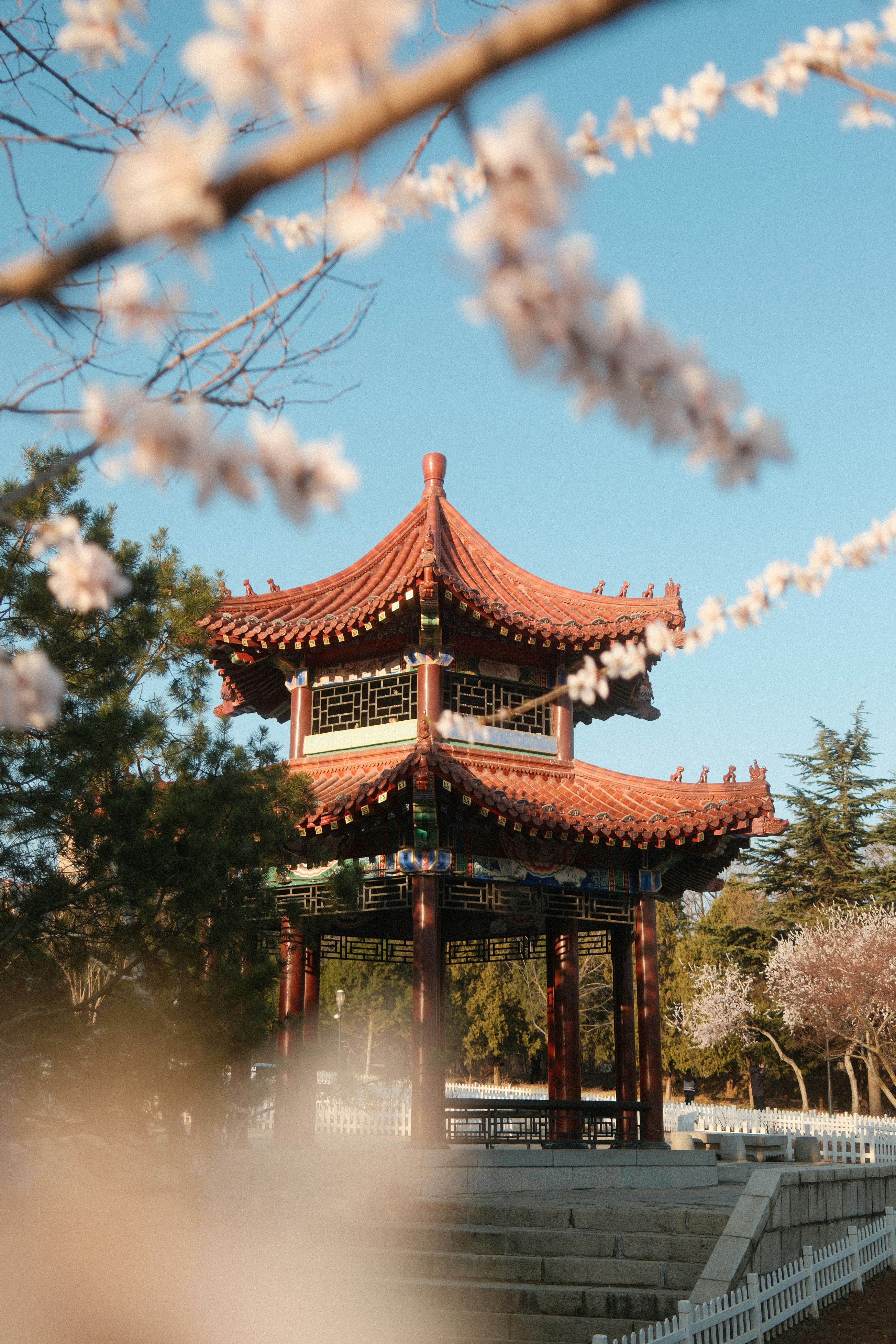Red-Tiled Pavilion Framed by Blossoms under a Clear Sky