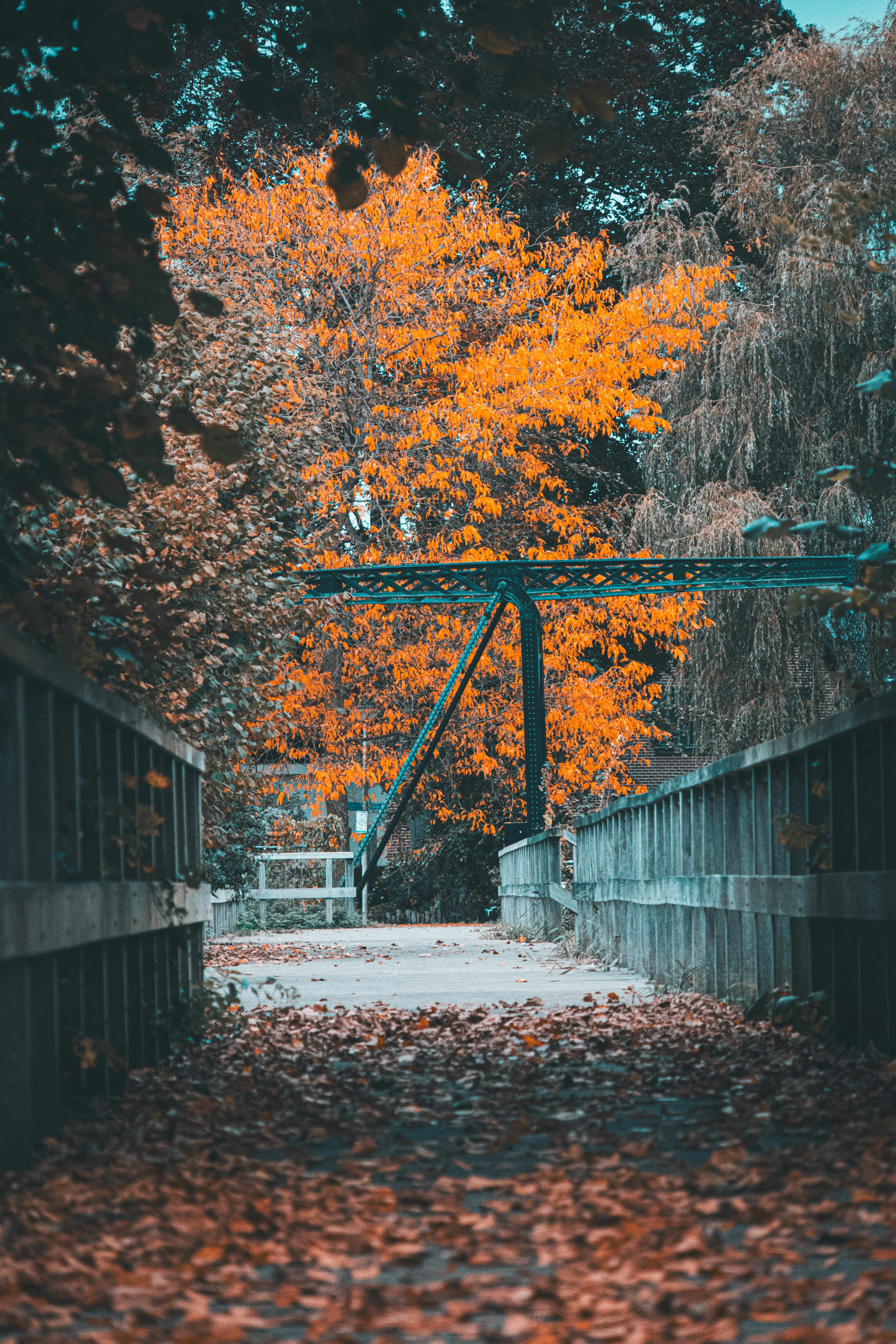 Autumn Passage: Orange Leaves Framing a Quiet Bridge