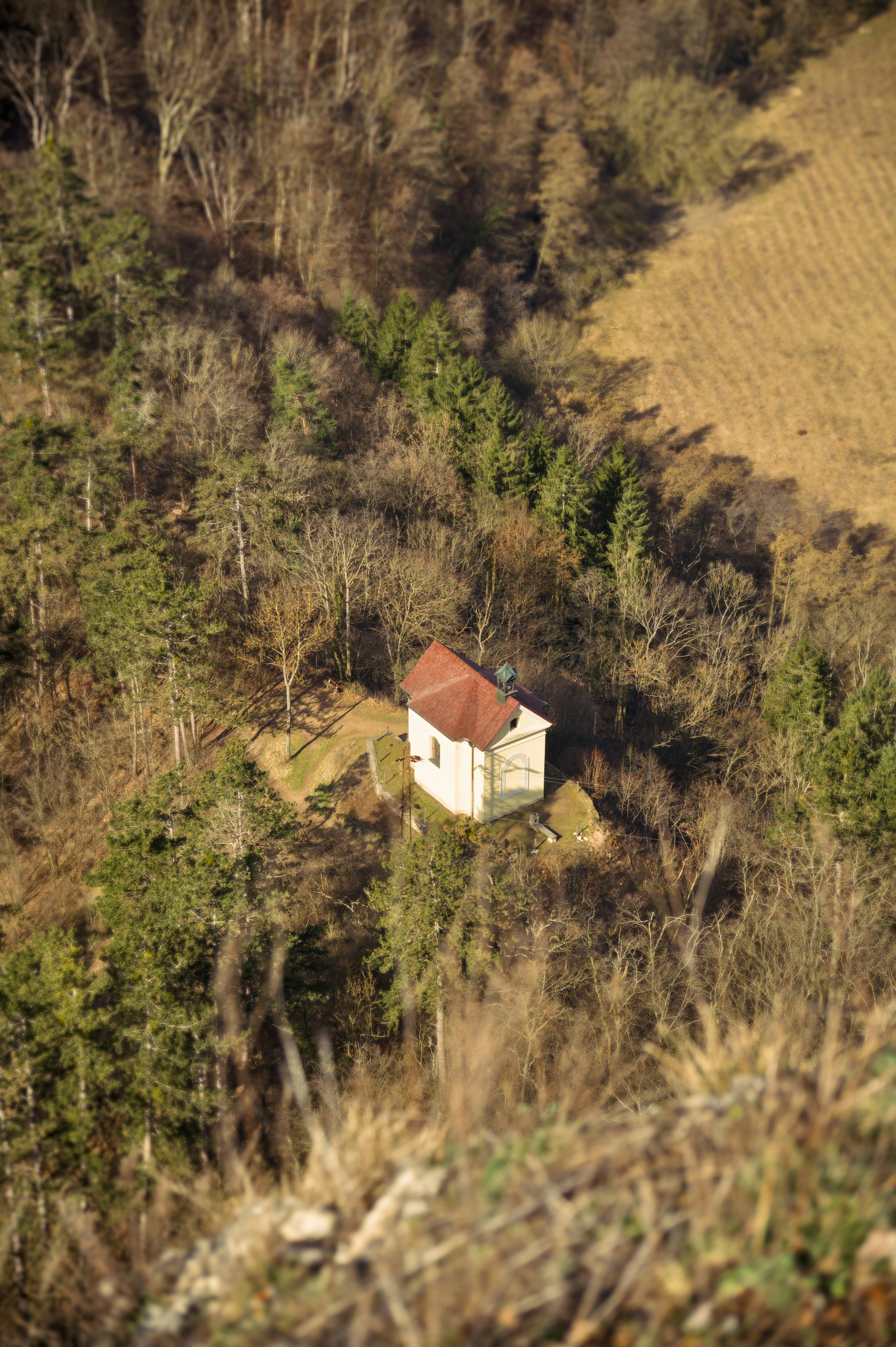 A Lone Chalet Quietly Nestled in Winter Woods