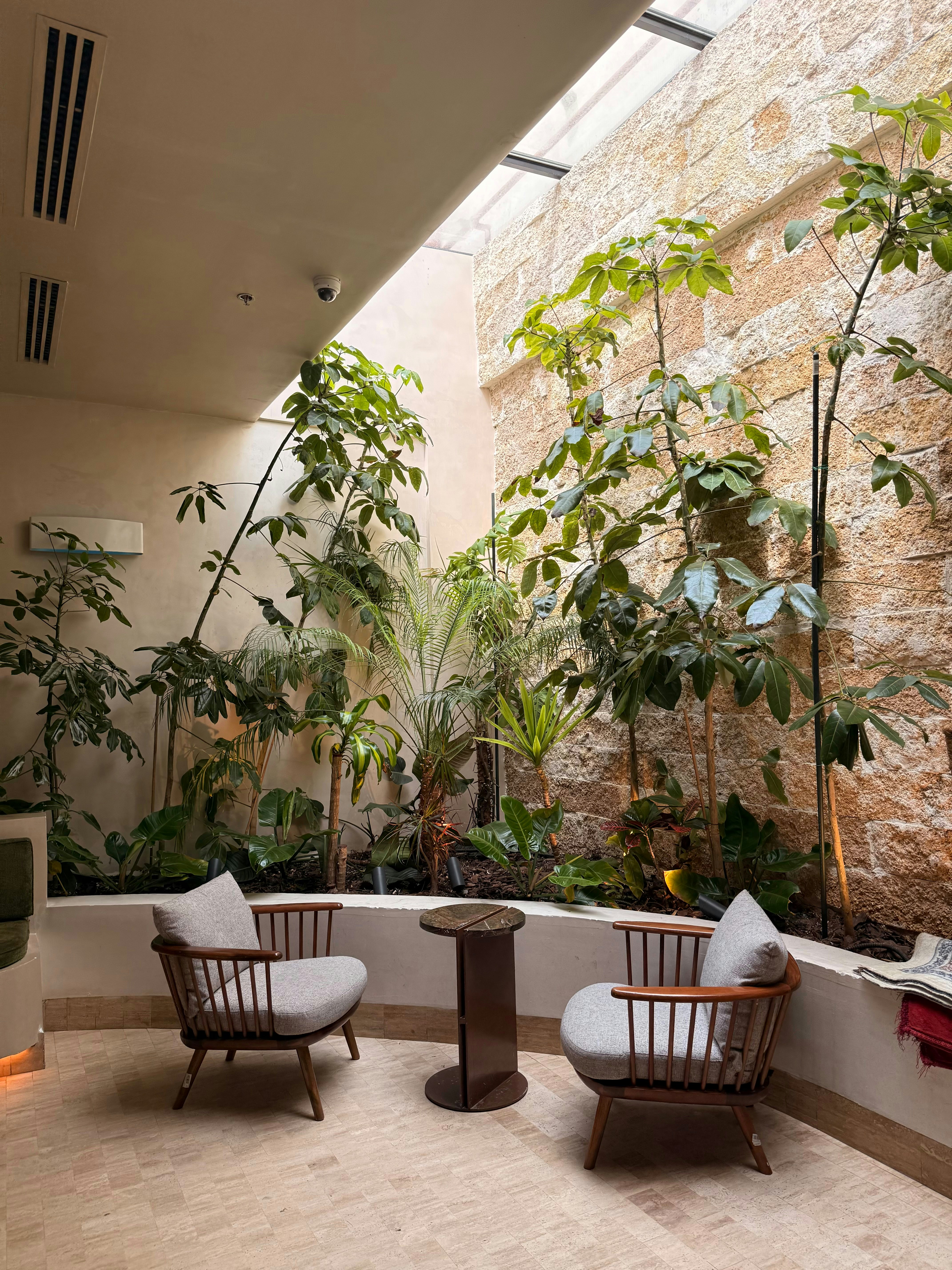 Serene courtyard nook with living greenery and mid-century seating
