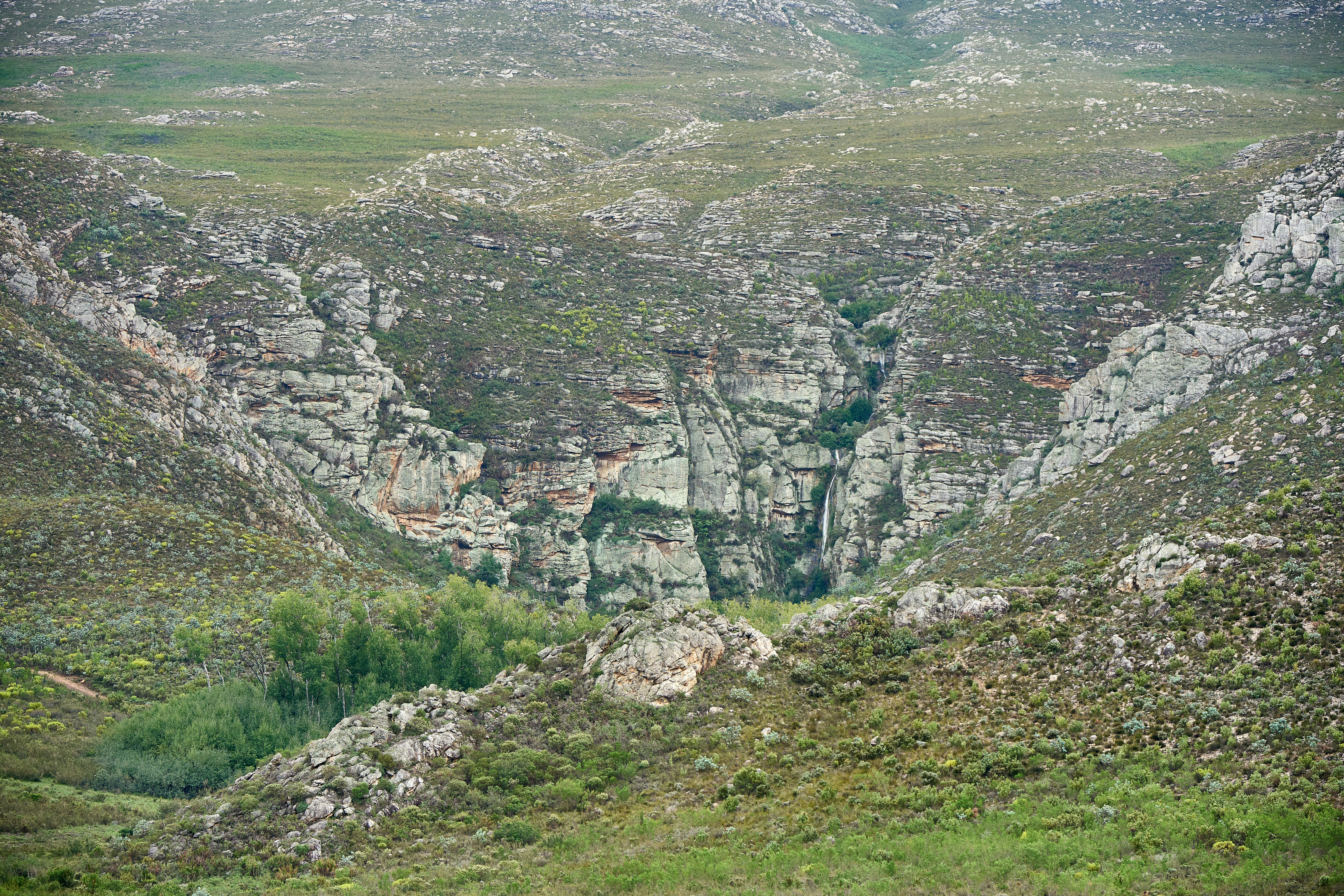 Cleft in the Ridge: A Quiet Gorge Framed by Weathered Limestone
