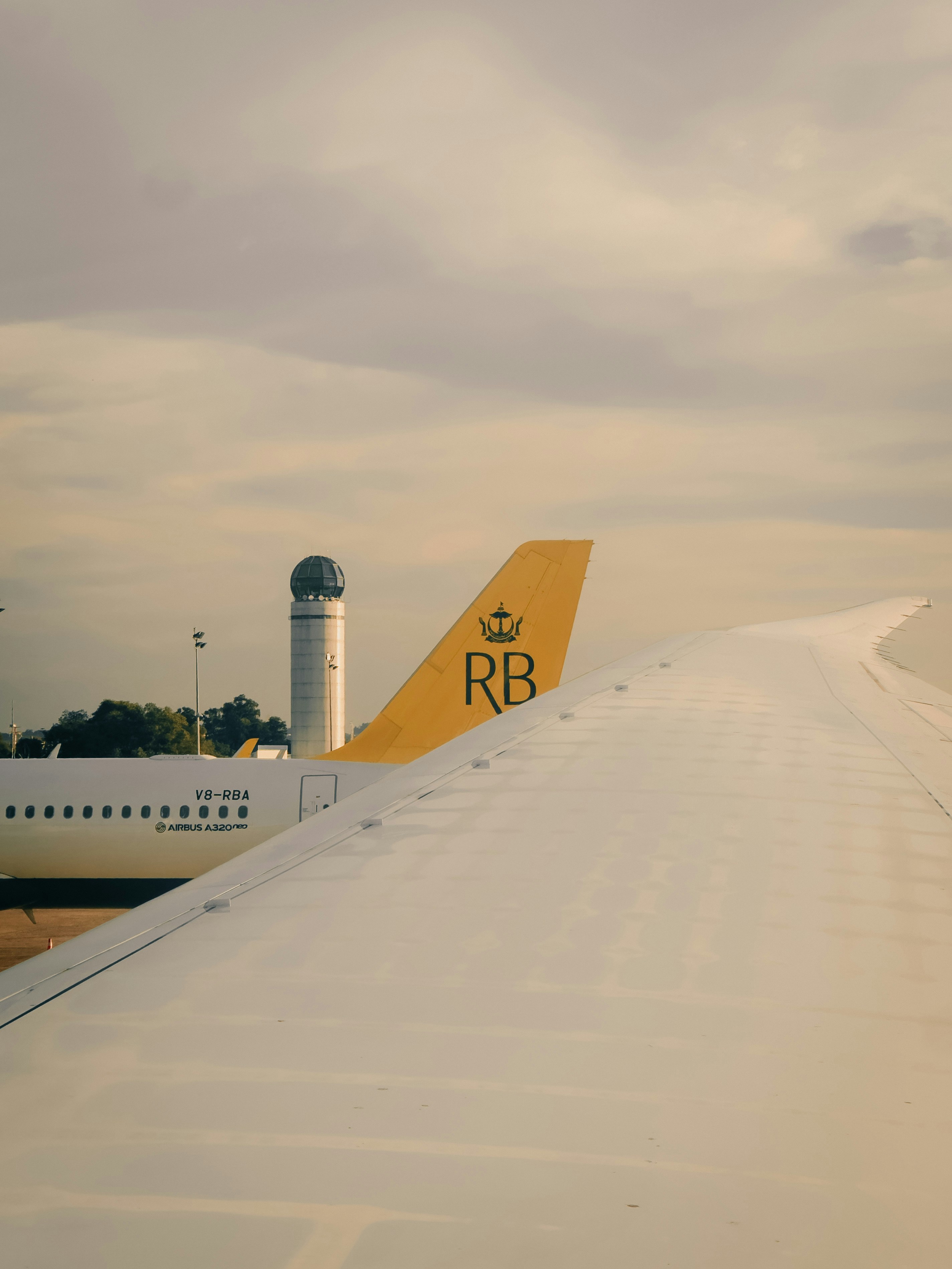 Wingline to the Golden Tail: A Quiet Taxi Under a Calm Sky