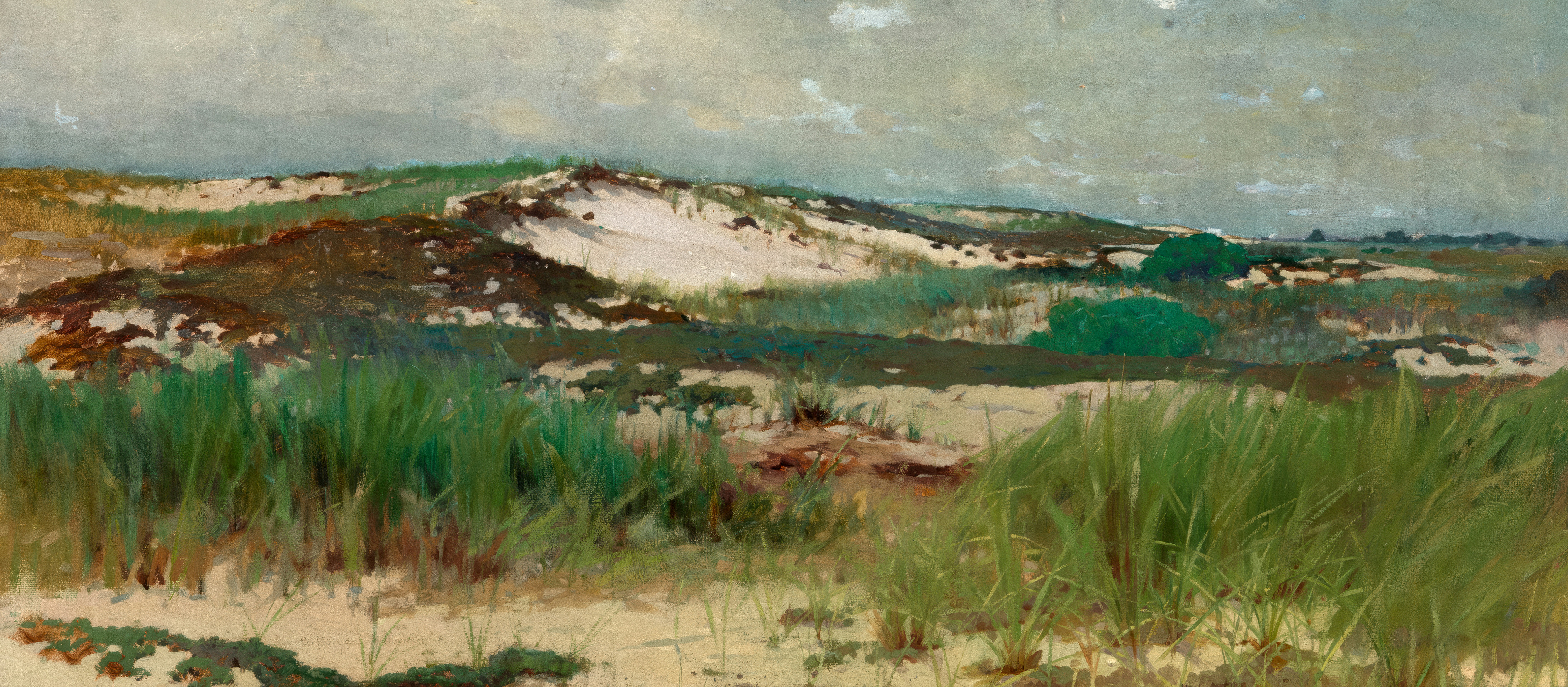Morning Dunes and Reeds across a Quiet Horizon