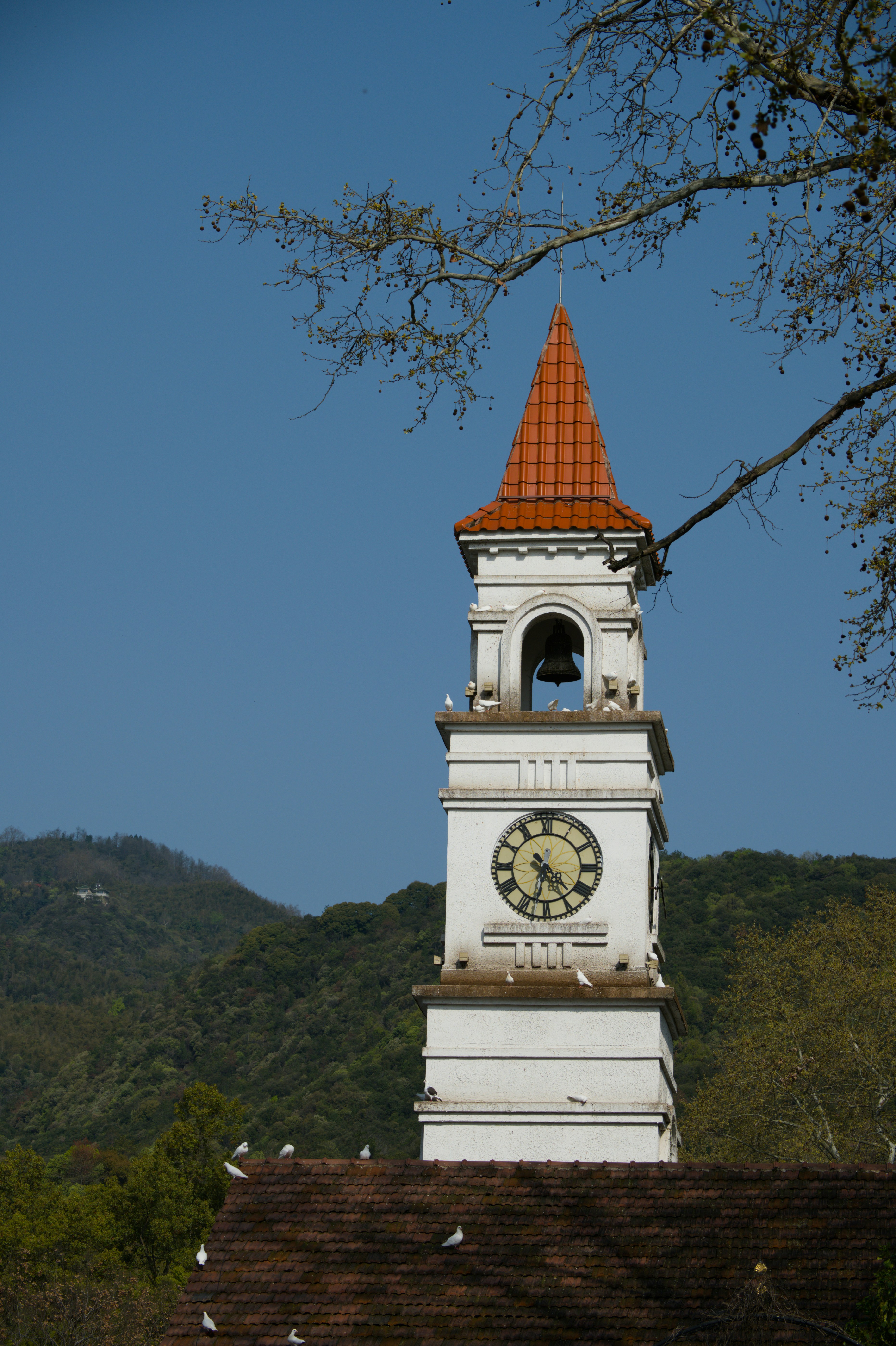 Clock Tower Reach: A White Steepled Landmark Against a Clear Blue Sky