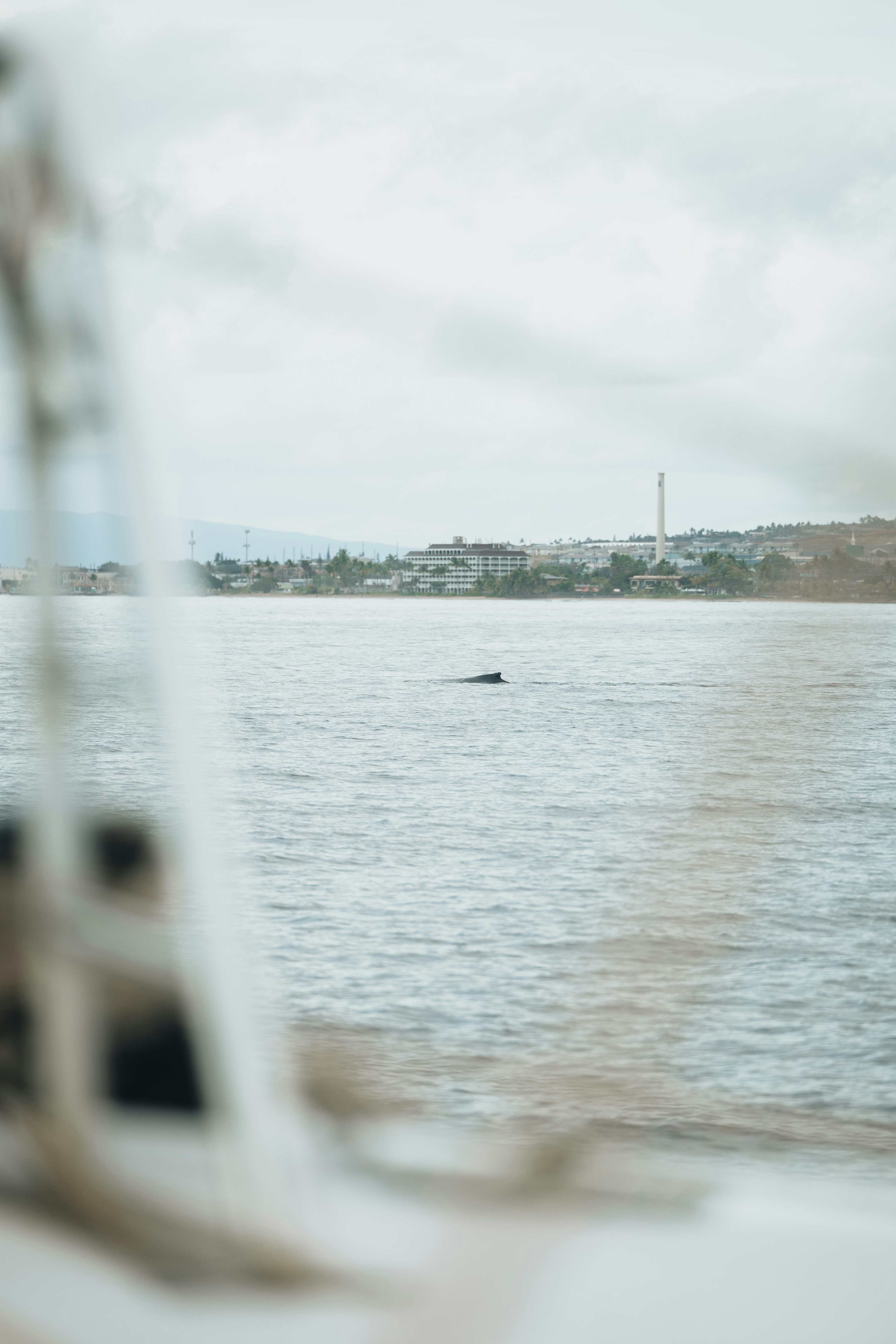 Vessel in the Quiet Harbor: A Tintrouted View Through a Deck Window