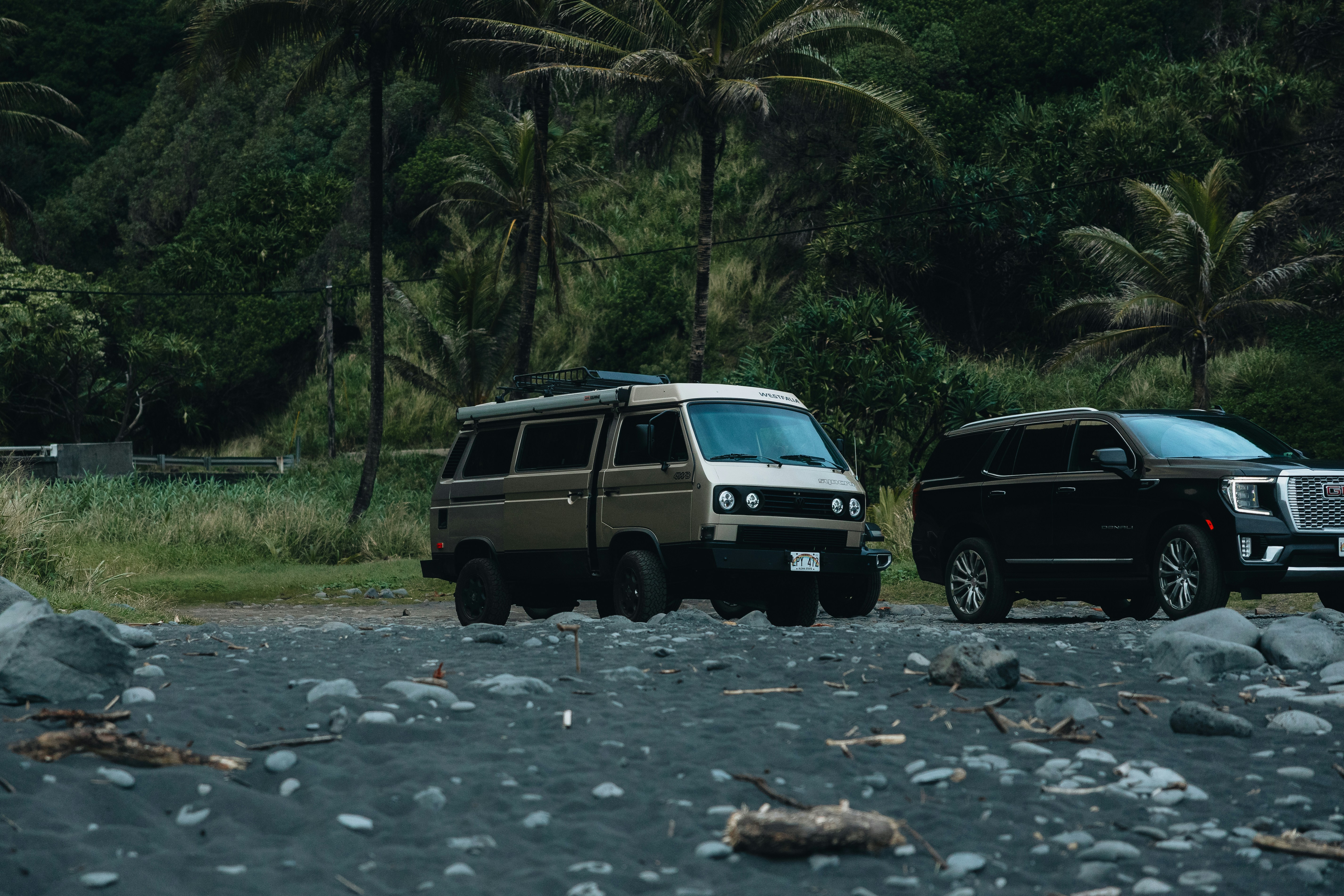 Van Rendezvous on a Pebbled Shore