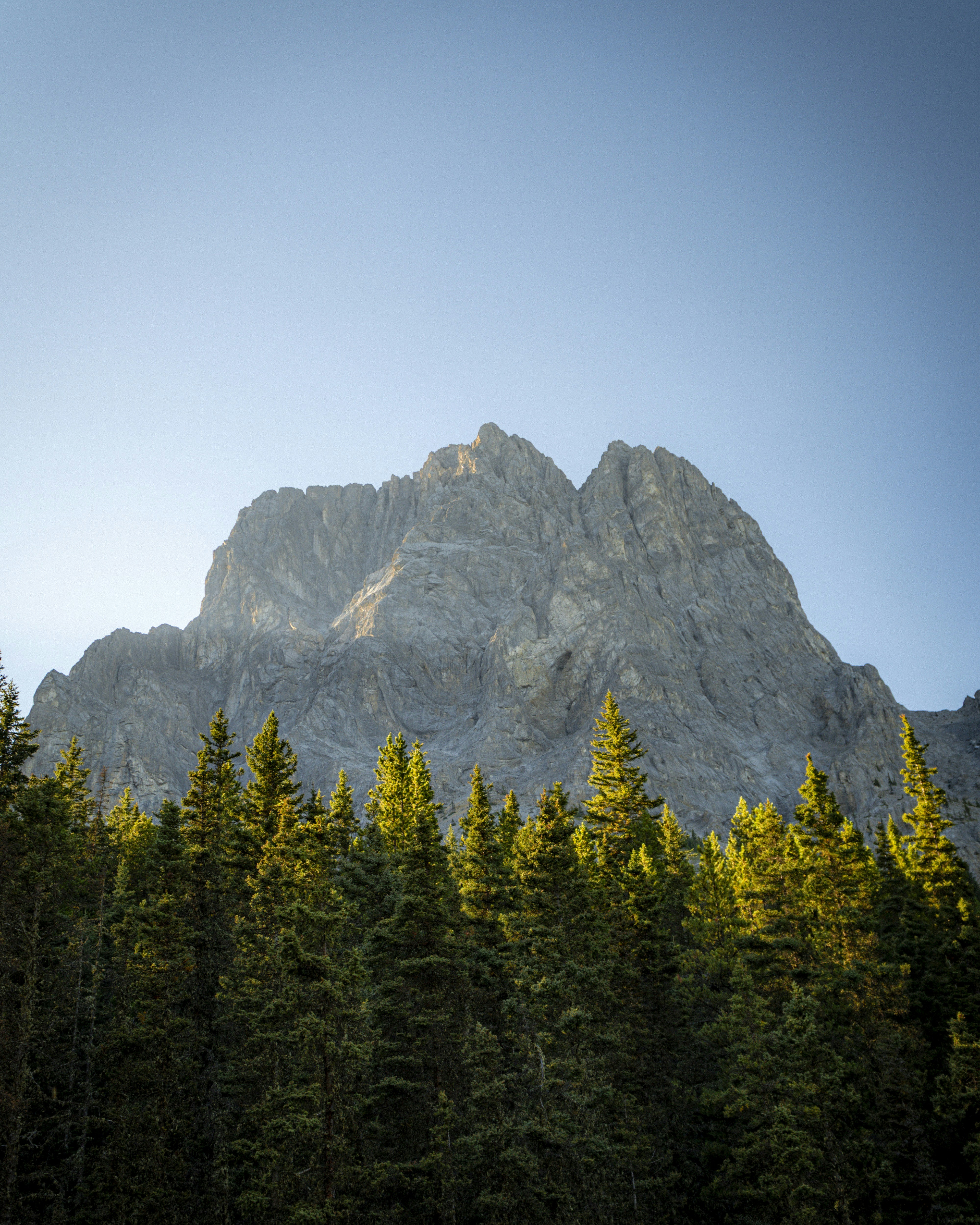 Rugged Peak Reaching Above a Pine Forest