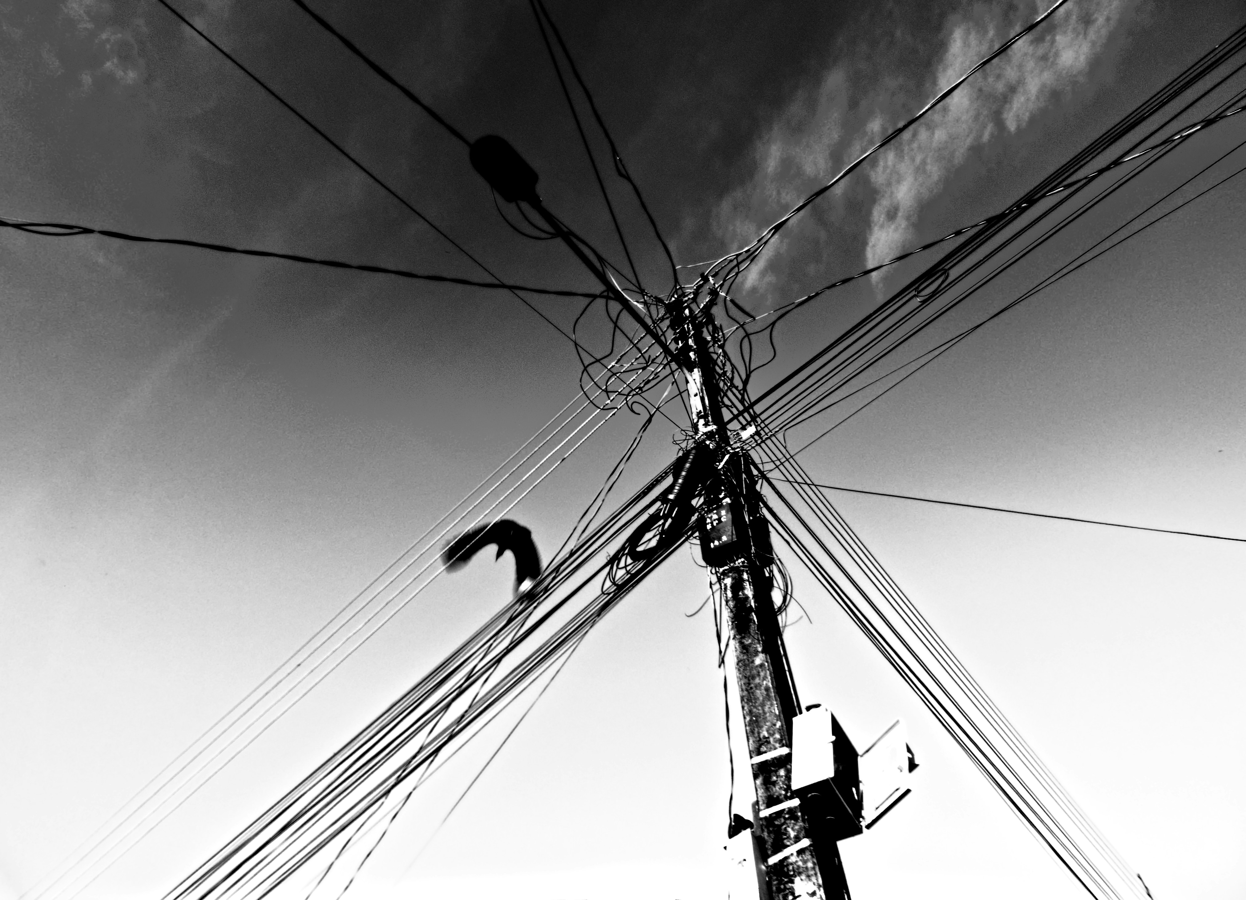 Tangled Lines: Utility Pole Convergence under Murky Skies