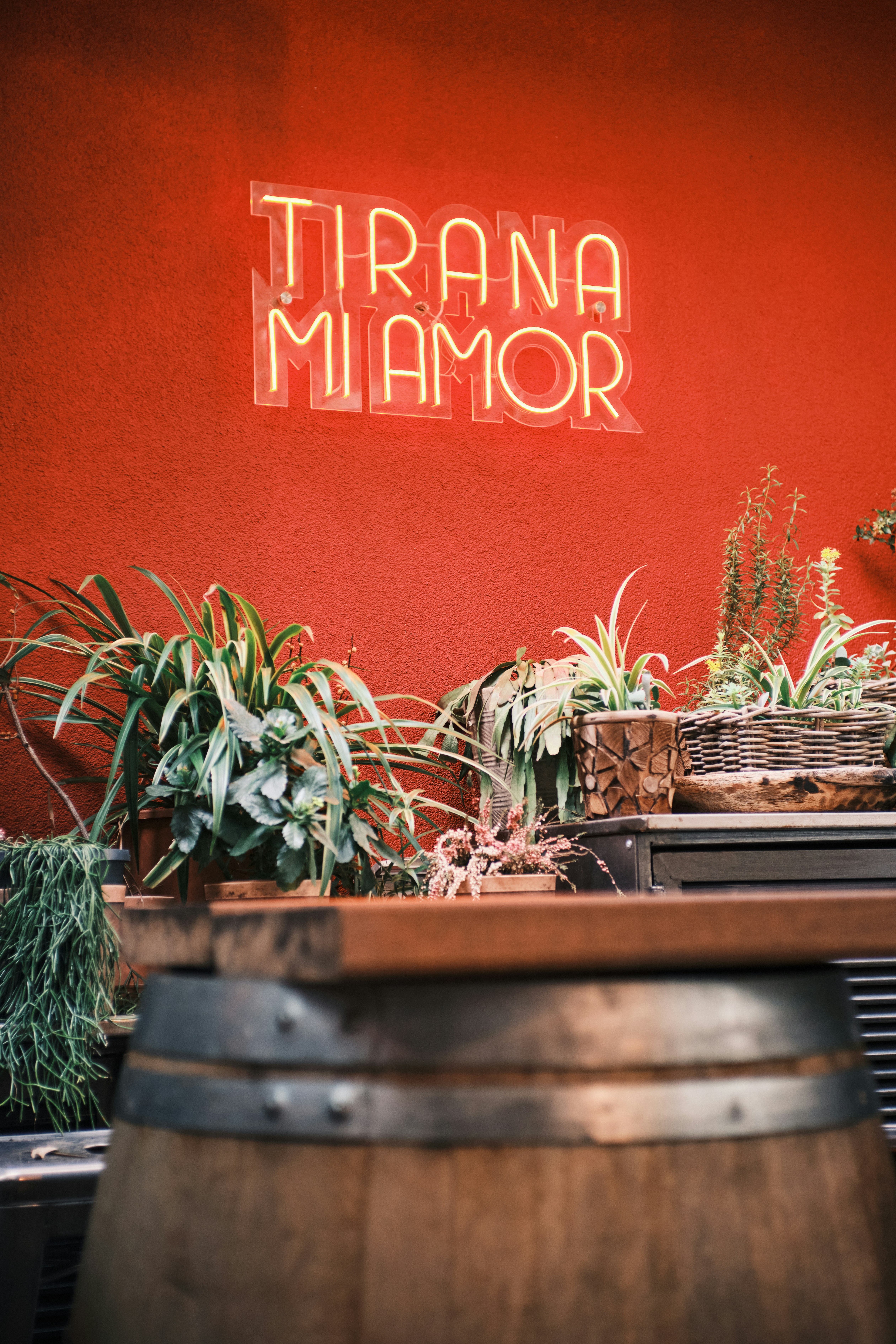 Neon Sign Over Greenery at a Red-Walled Bar