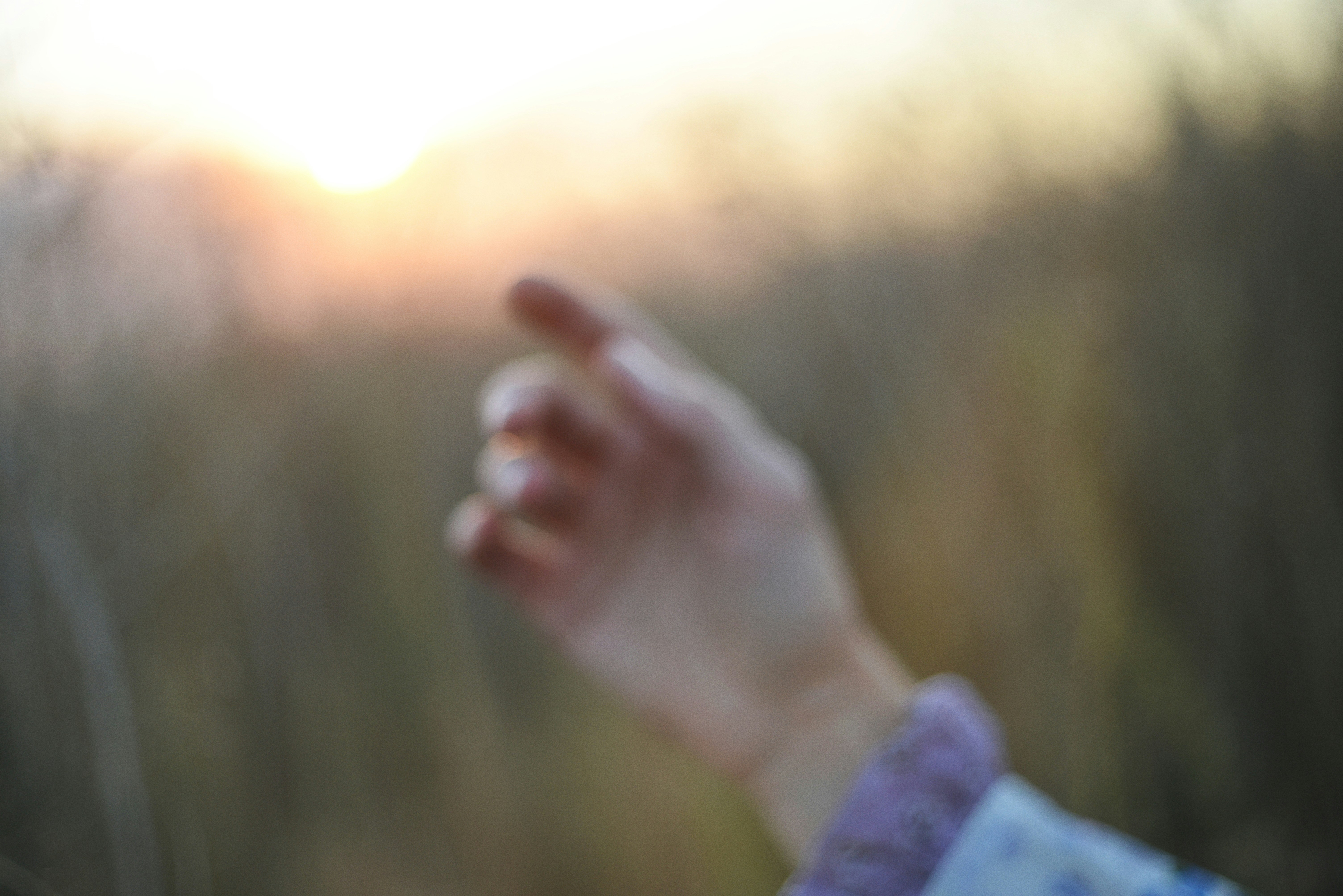 Blurry sunset gesture: a hand reaching toward the fading light