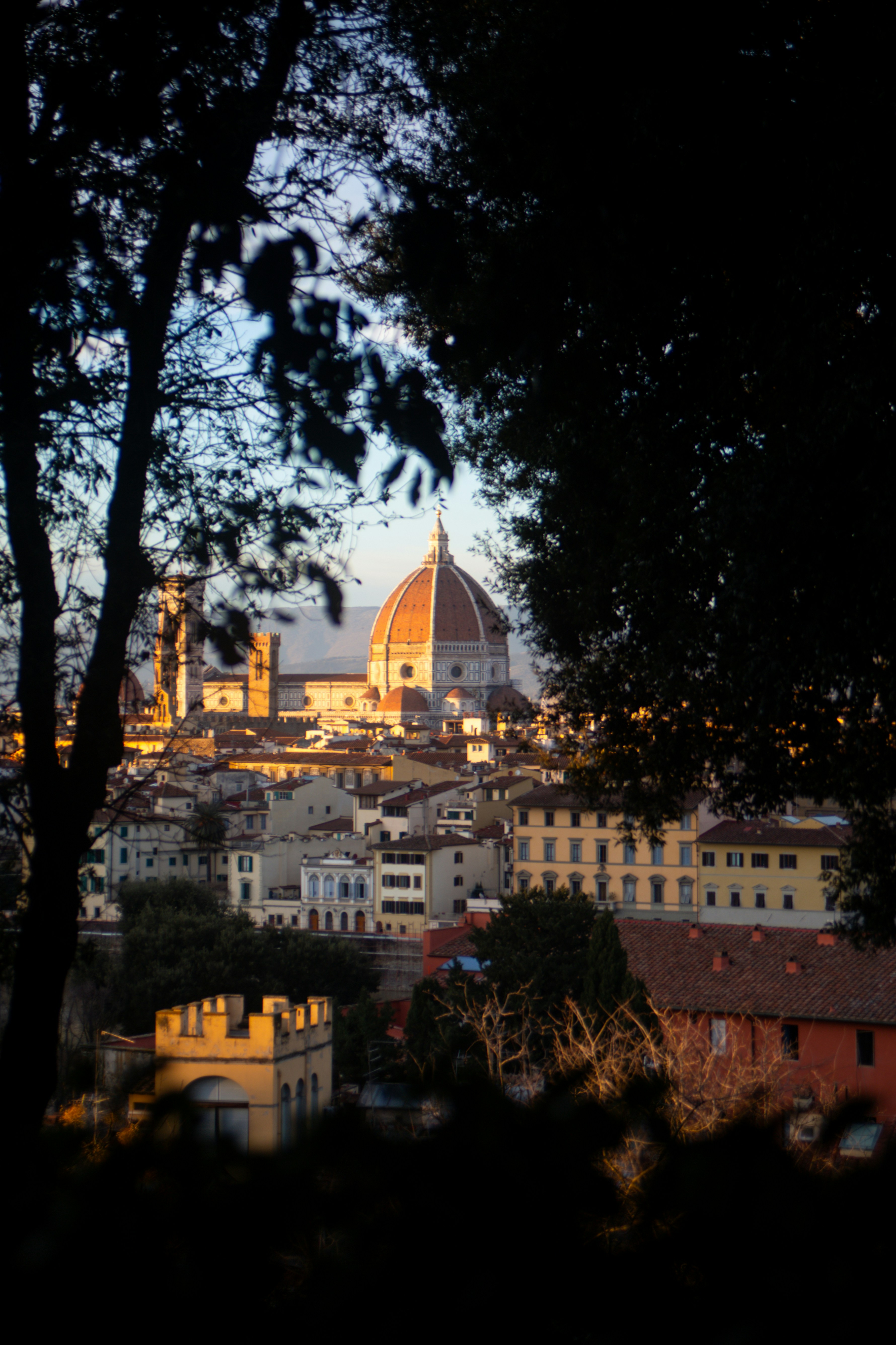 Dome of Florence Framed by Framing Trees at Sunset