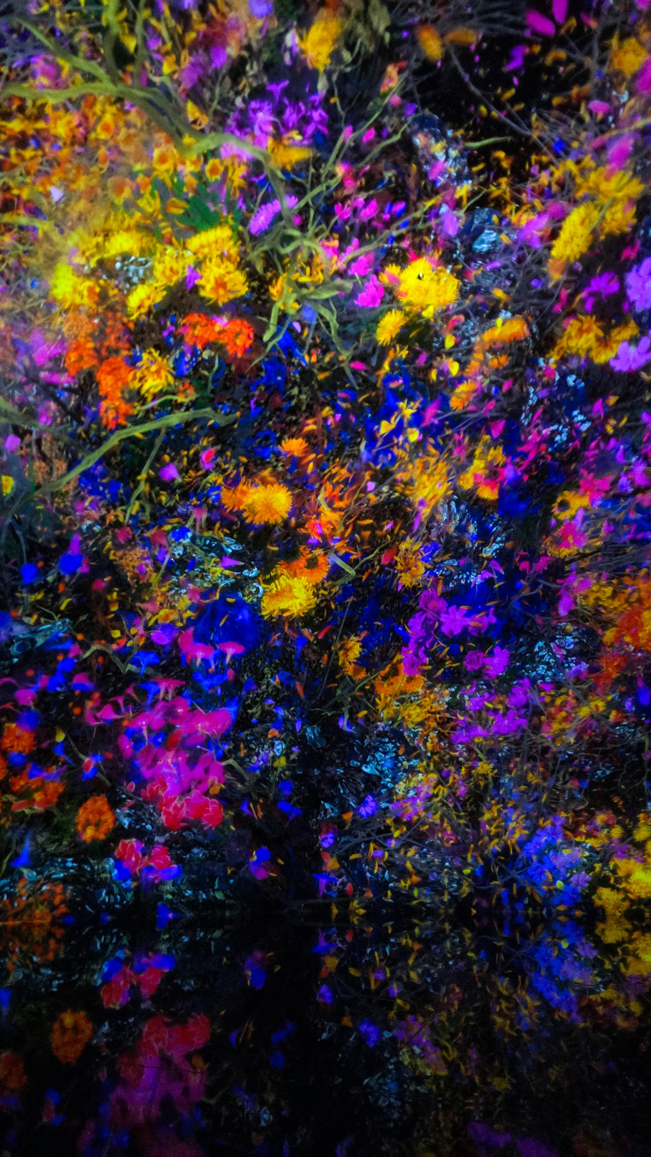 Carnival of Color: A Dense Patch of Wildflowers in Vivid Bloom