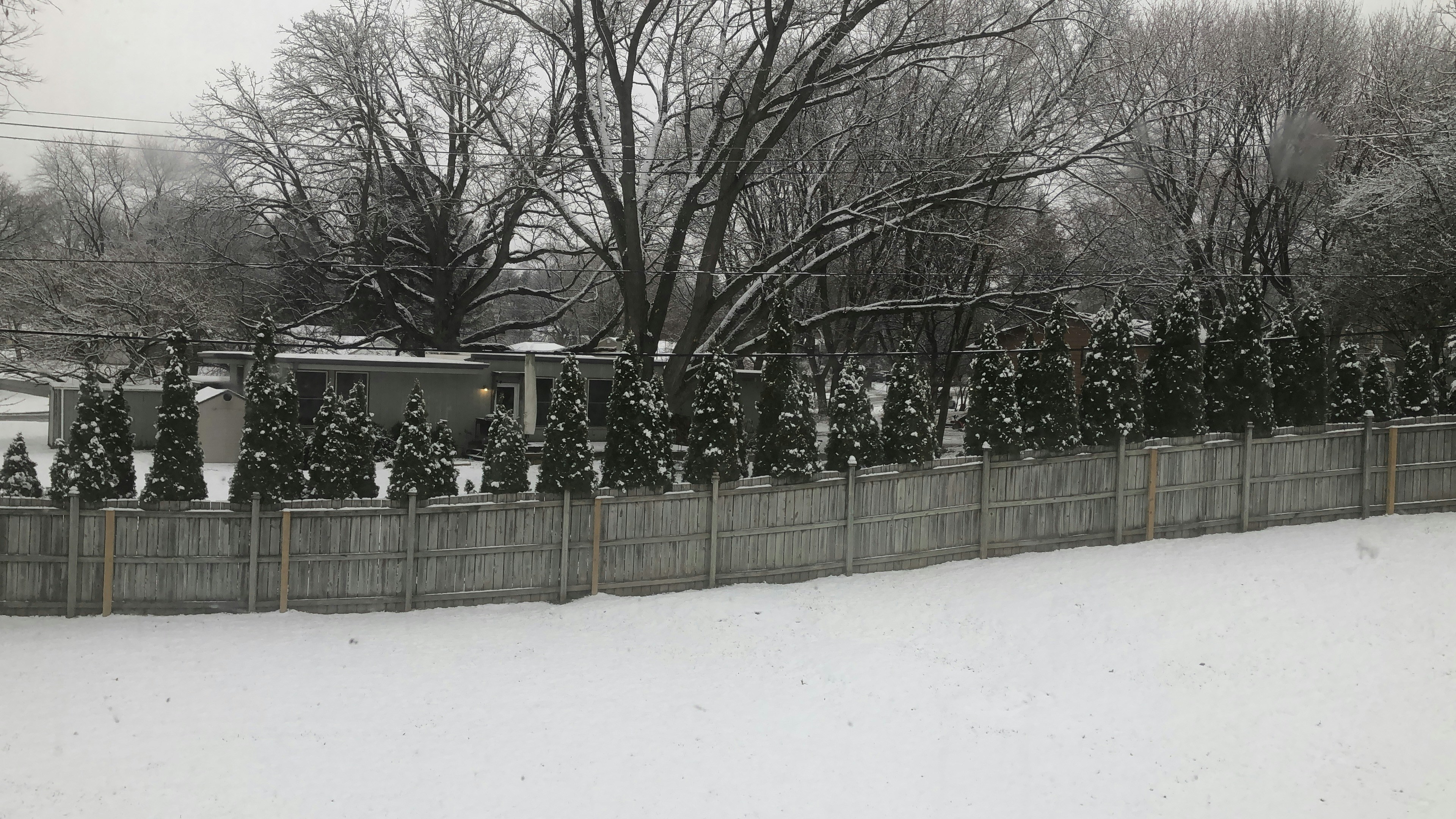 Snowbound Fence Line Beneath Leafless Trees