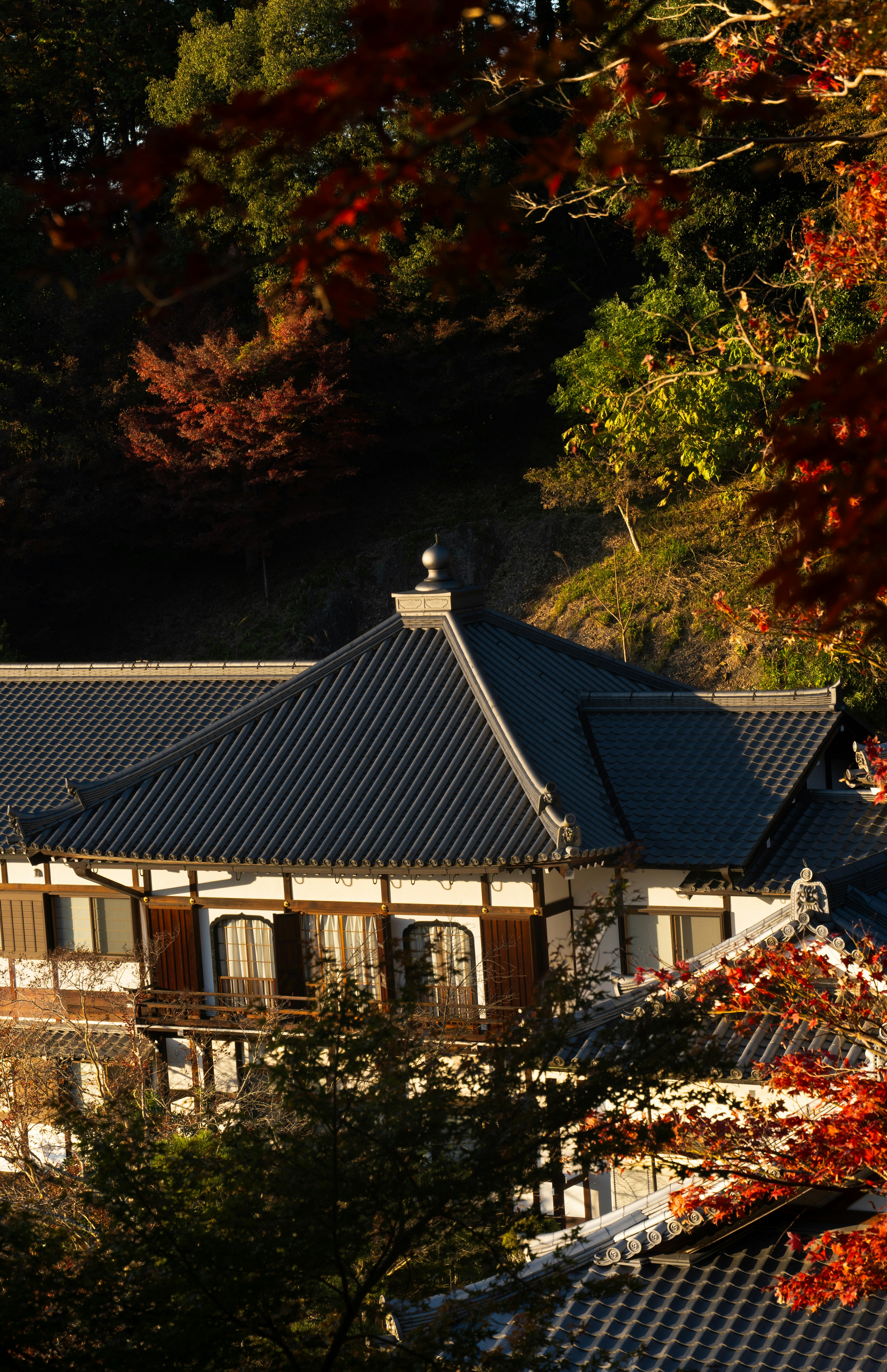 Tranquil Japanese-style Rooflines Dotted with Autumn Light
