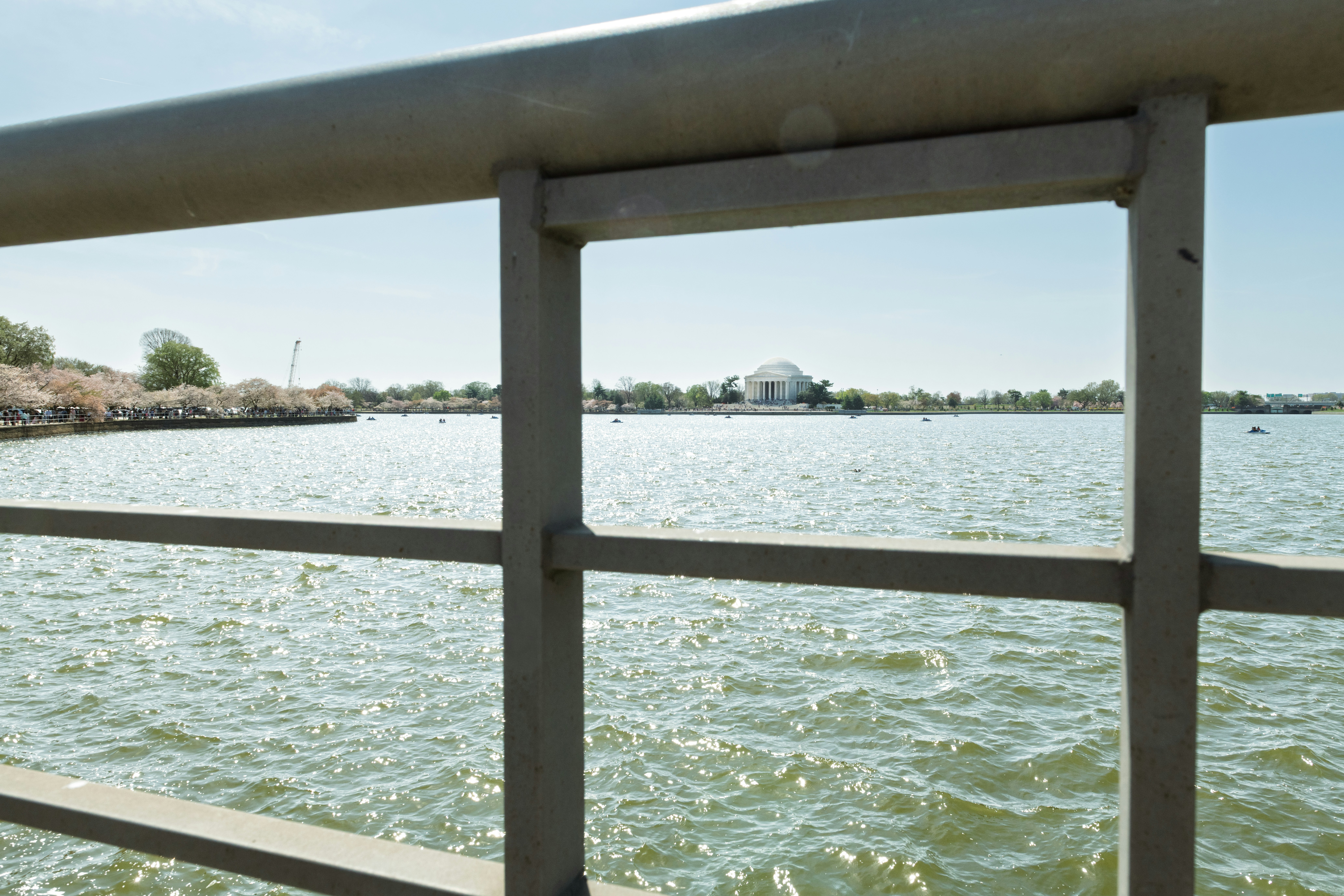 Railing Framing a Quiet lakeside Vista