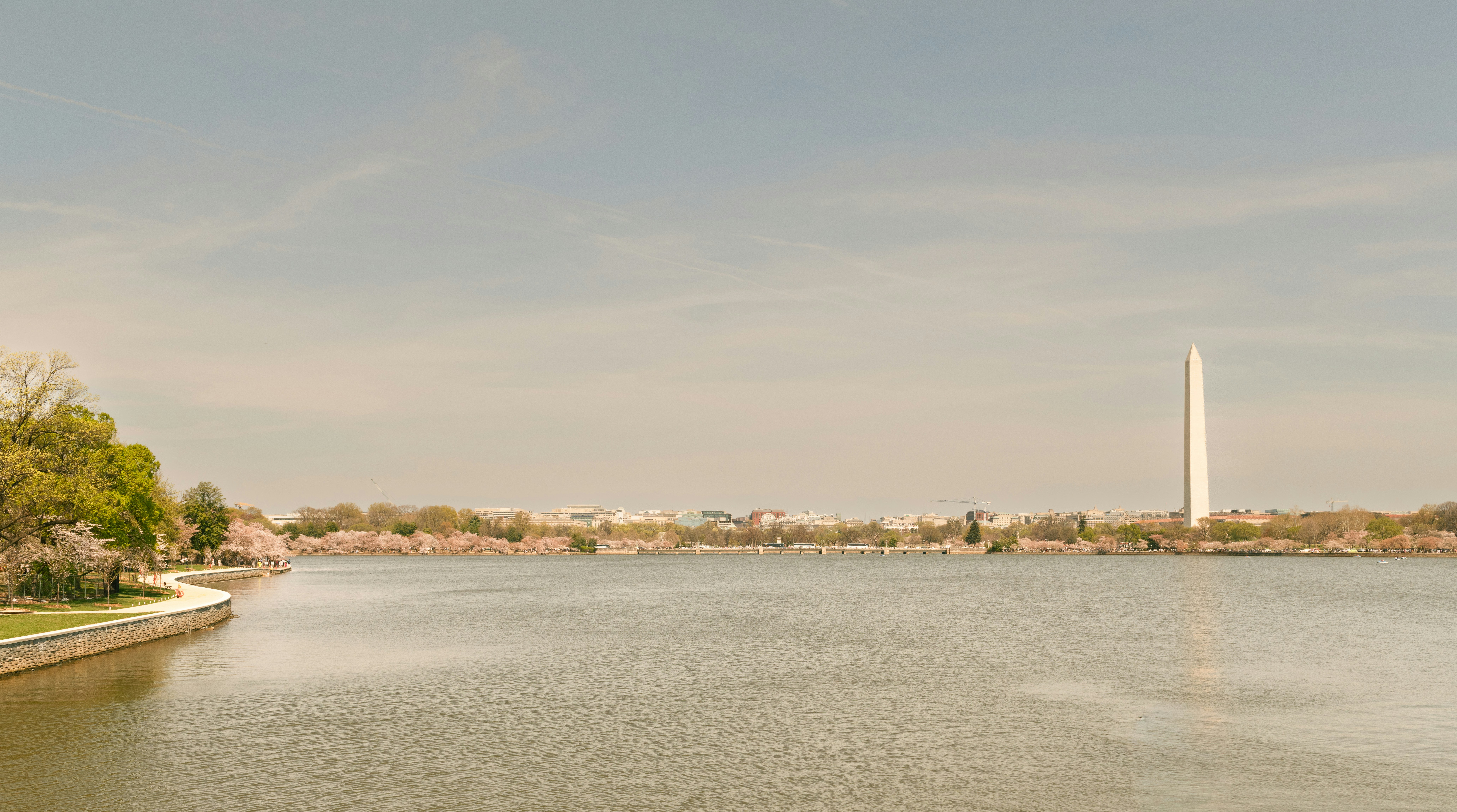 A Calm Confluence: Water, Path, and the Obelisk Stand