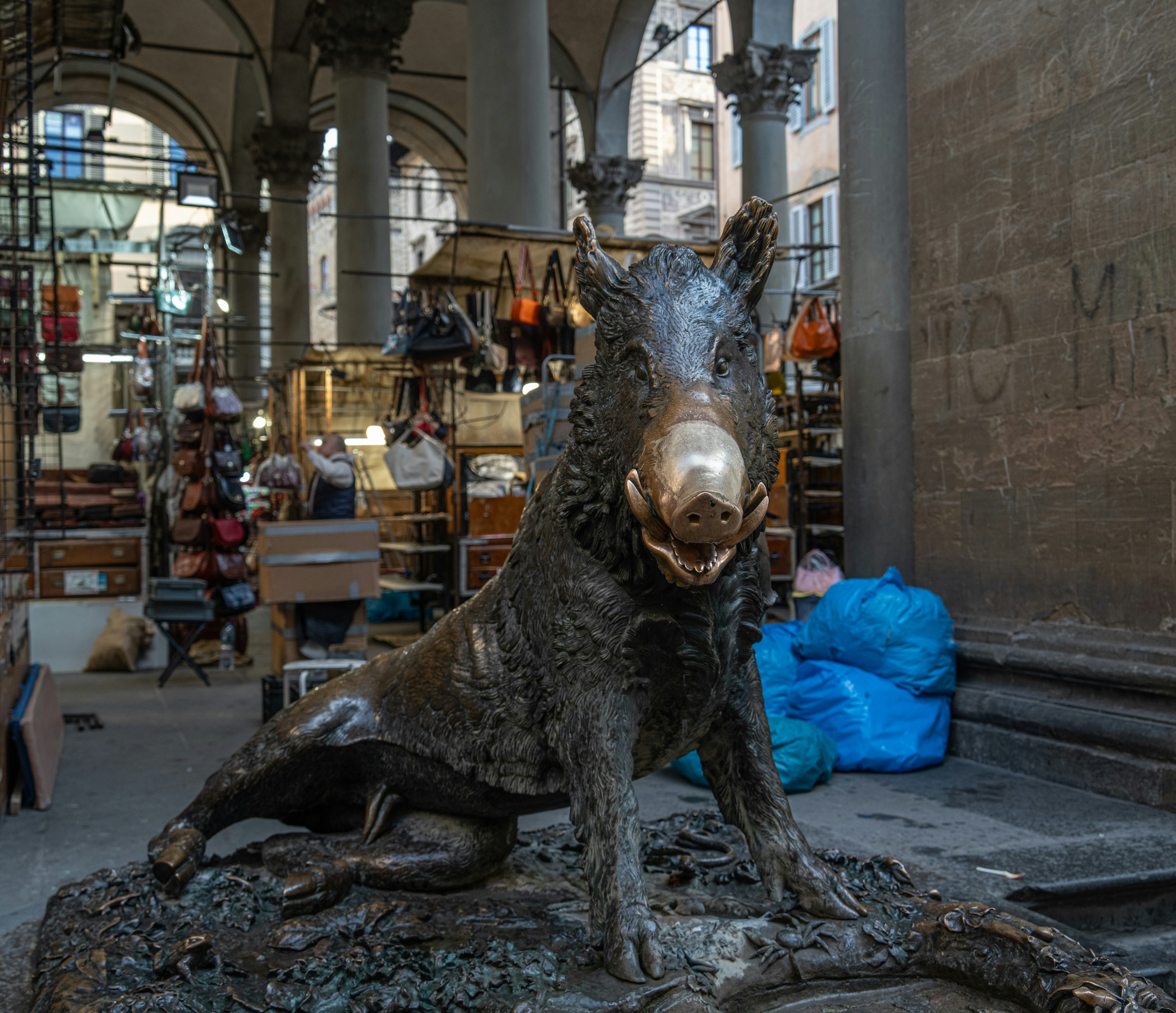 Urban Donkey in the Market Courtyard