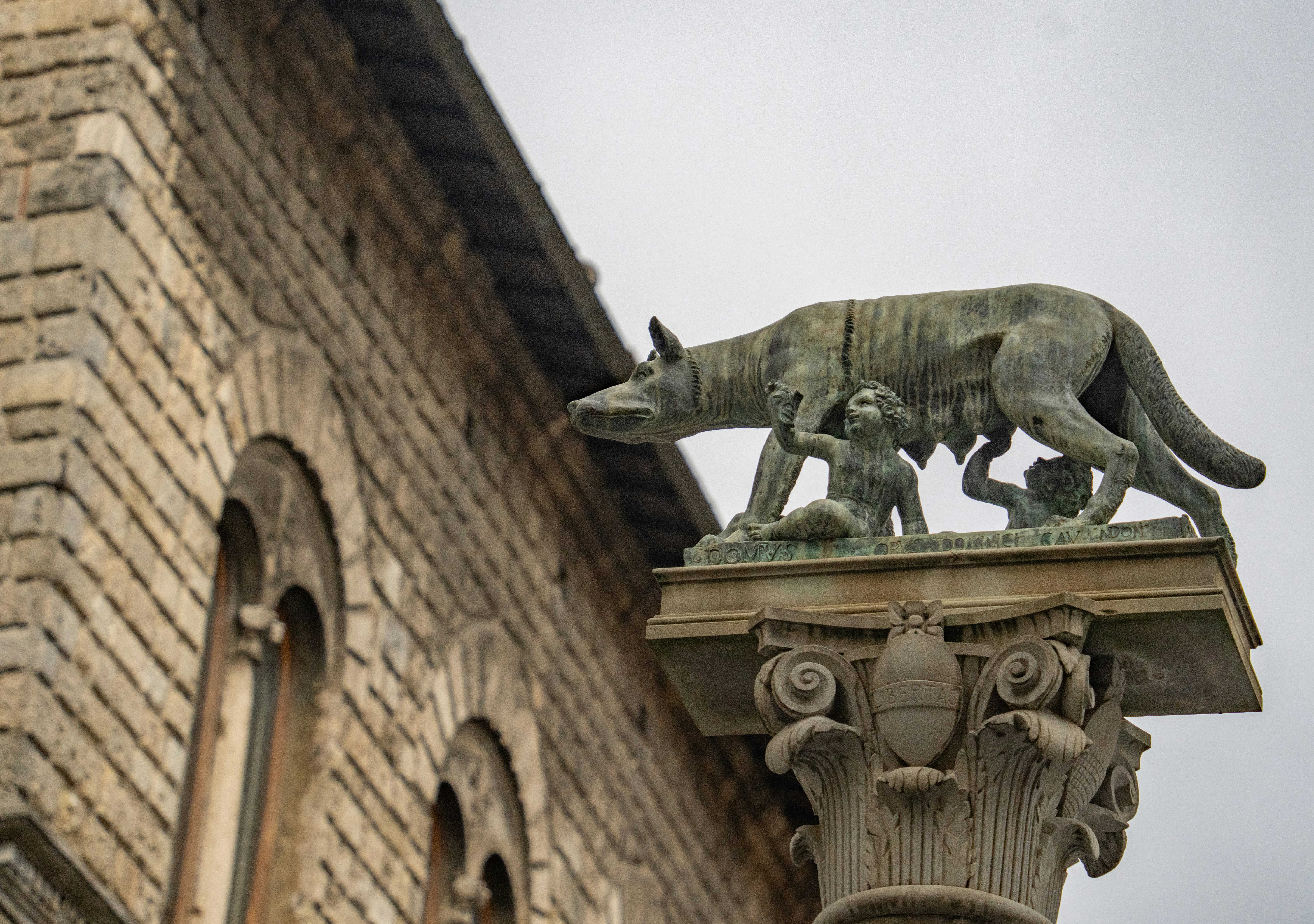 Stone Wolves at the Corner of Time