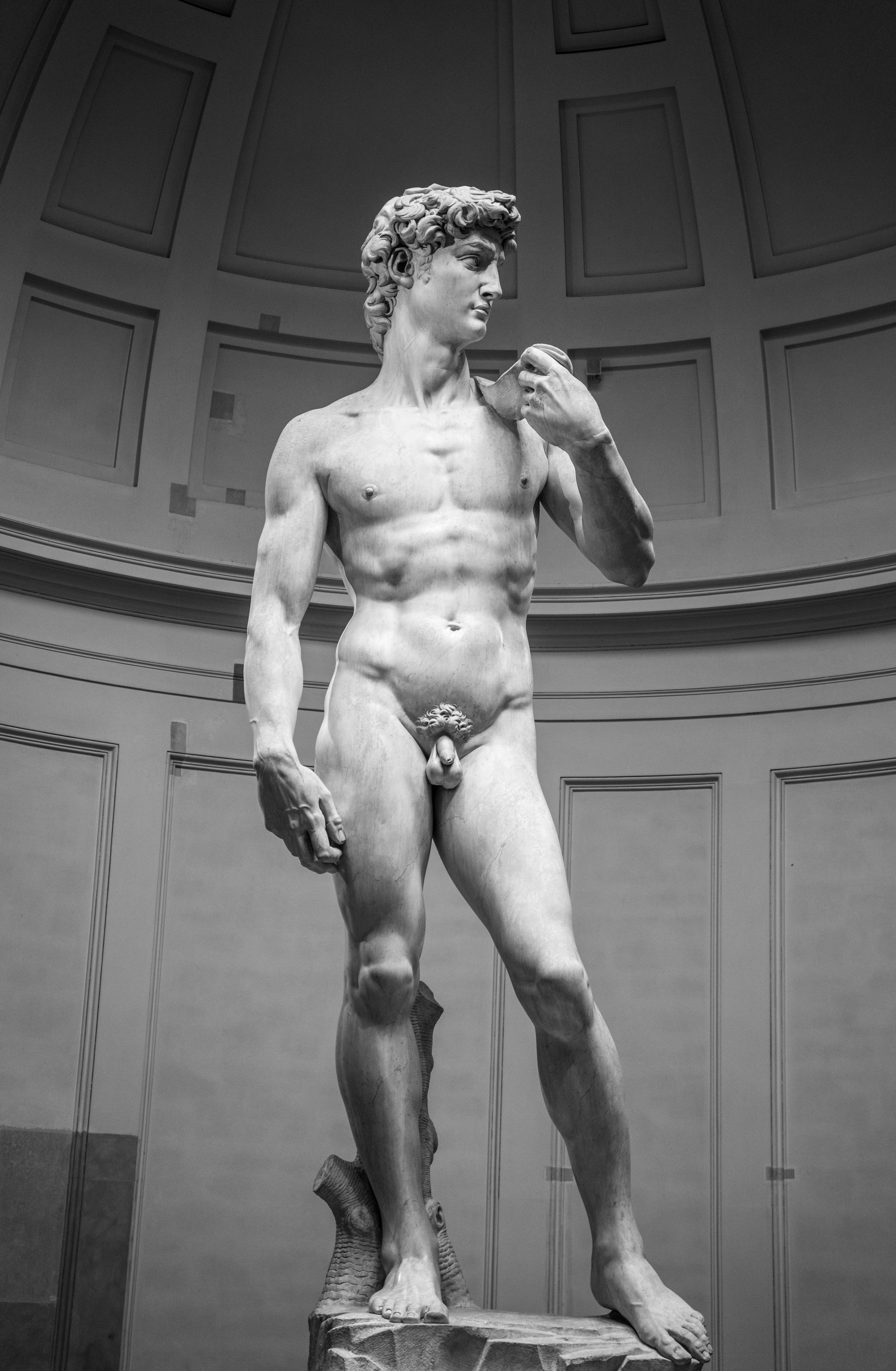 David in Gallery Light: A Classical Stance Amid Architectural Panels