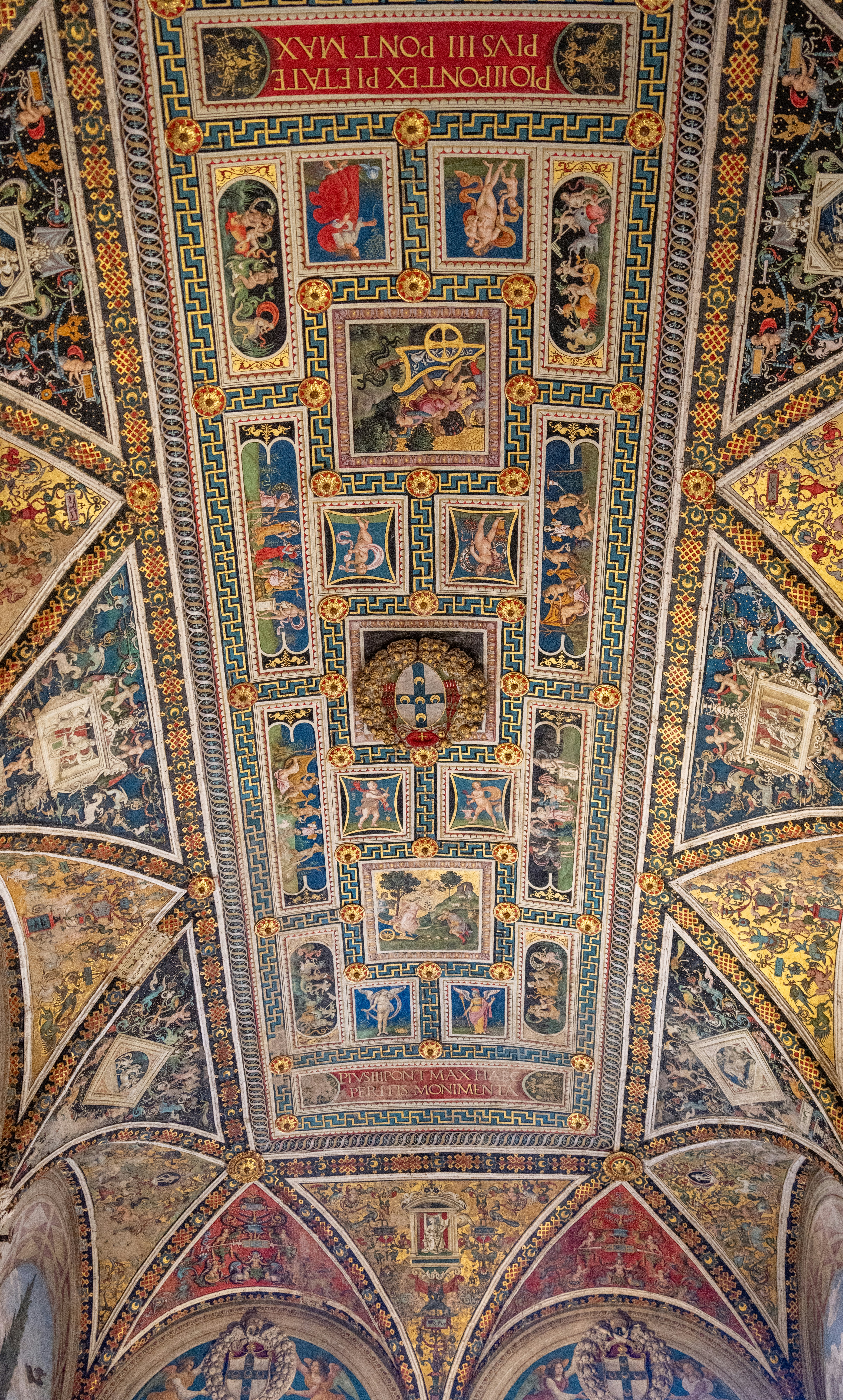 Vault of Colors: The Painted Cathedral Ceiling