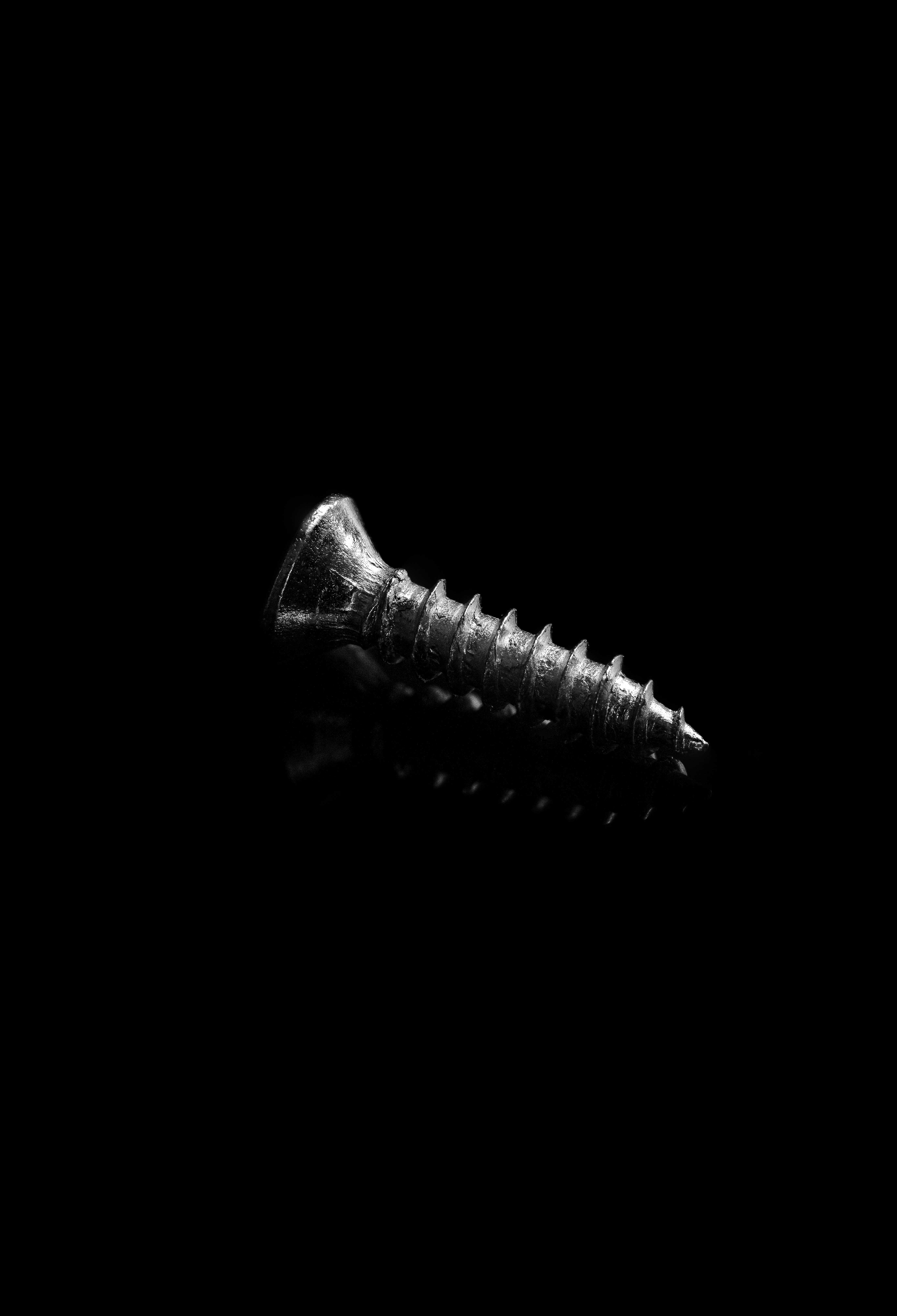 A Lone Metal Screw: Quiet Detail in Darkness