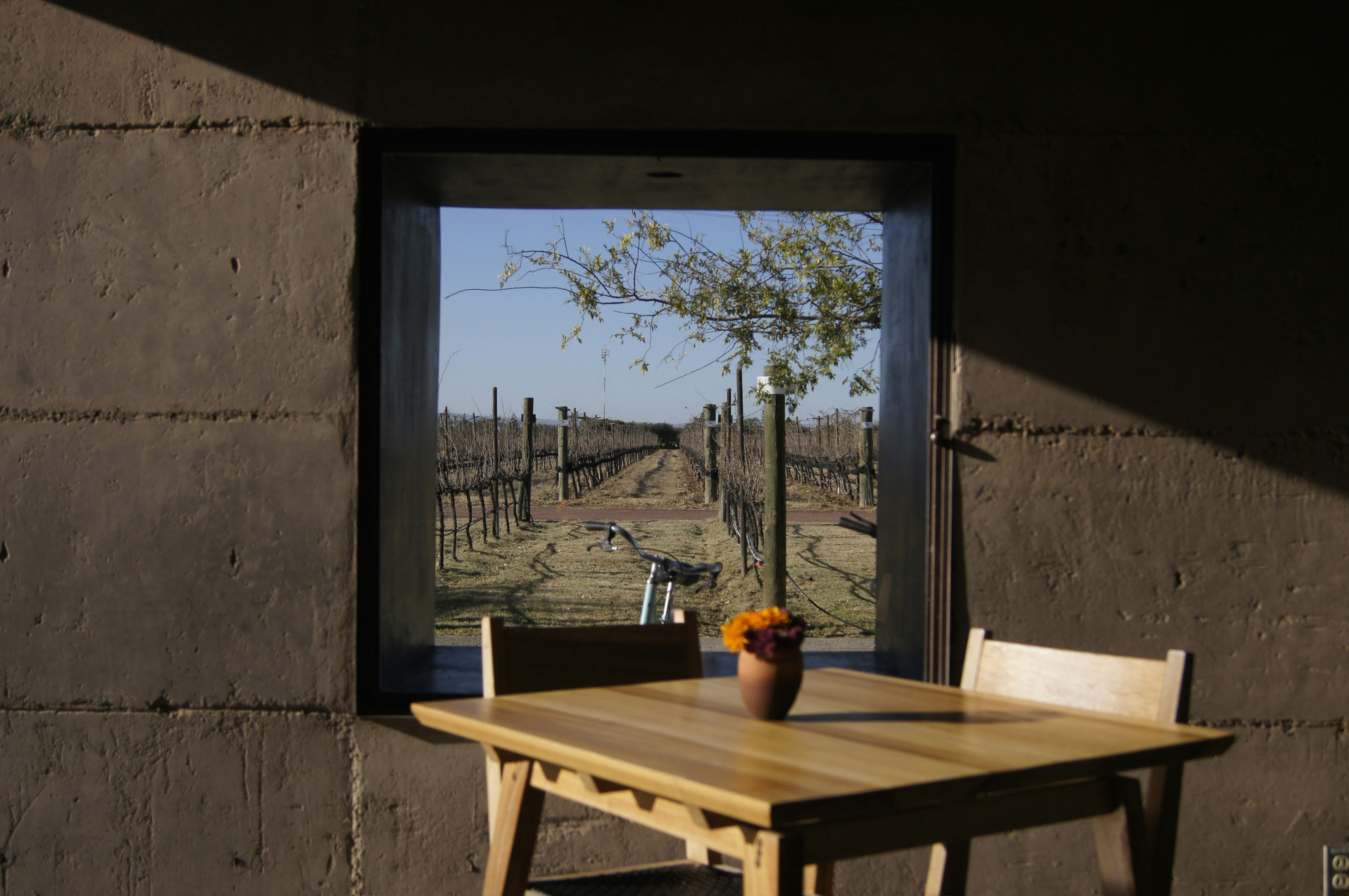 Window to the Vineyard: A Sunlit Table in a Concrete Room