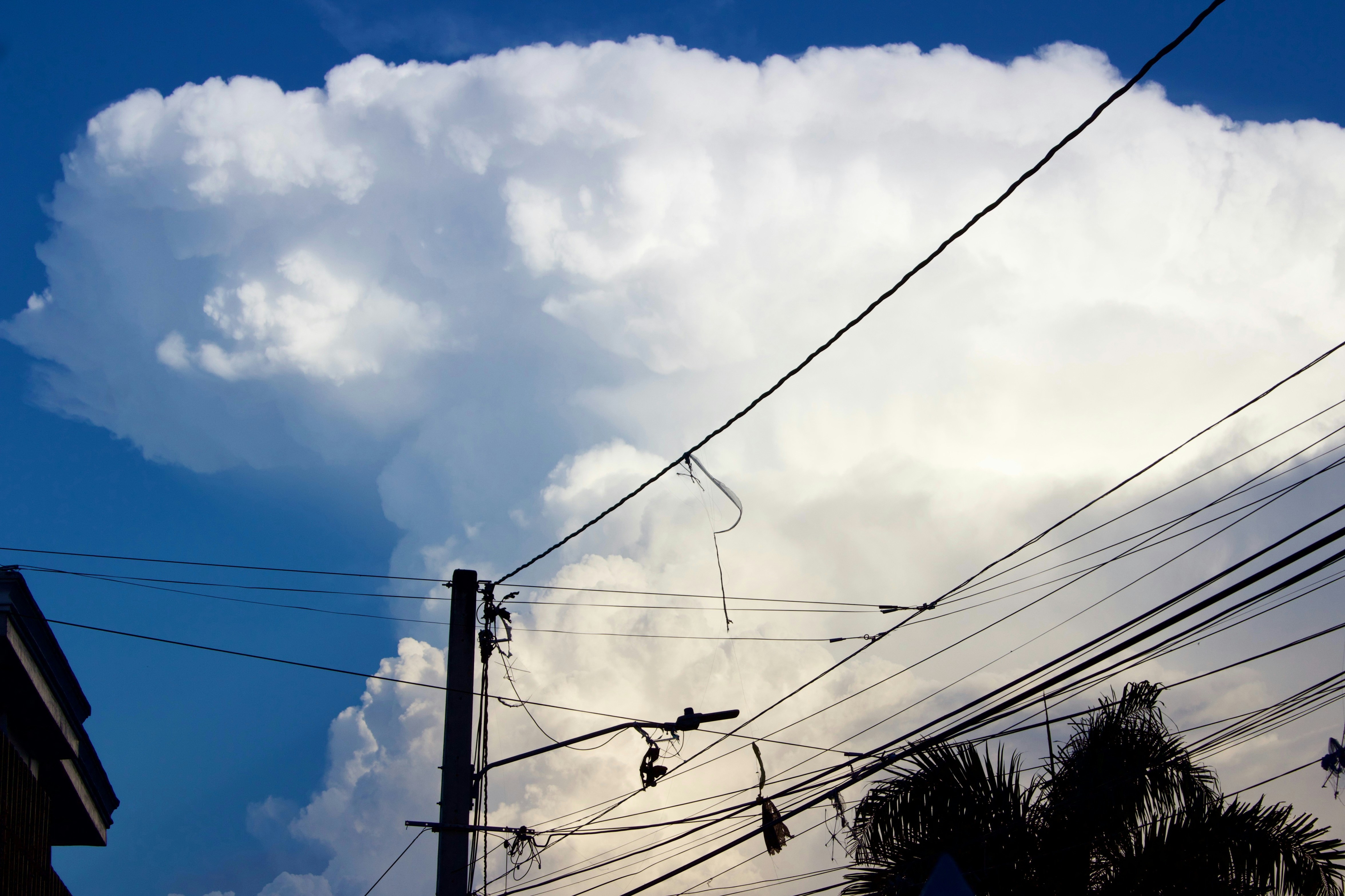 Cables Tug the Sky Over a Quiet Urban Rooftop