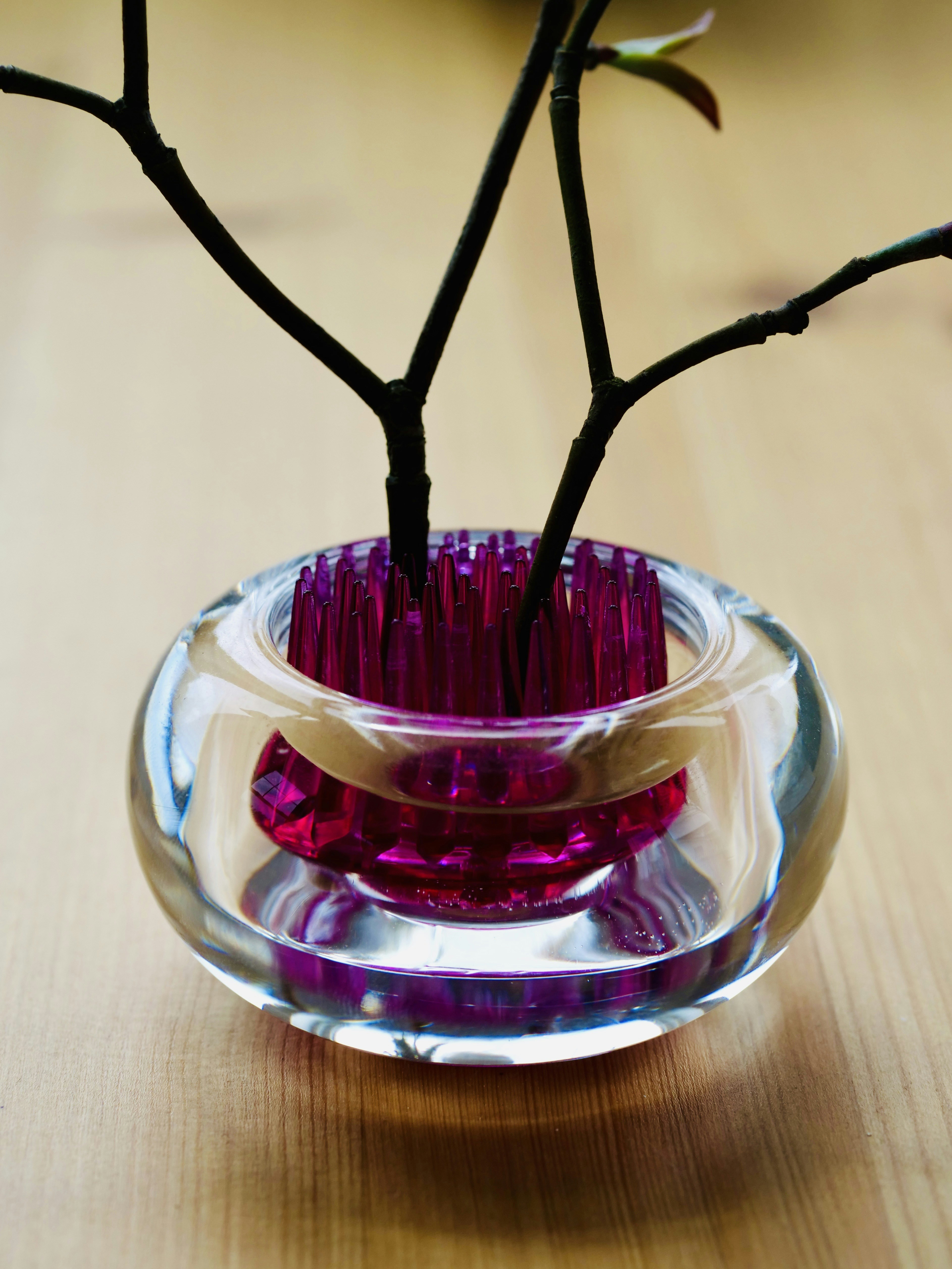 Crimson Spikes in a Glass Vessel