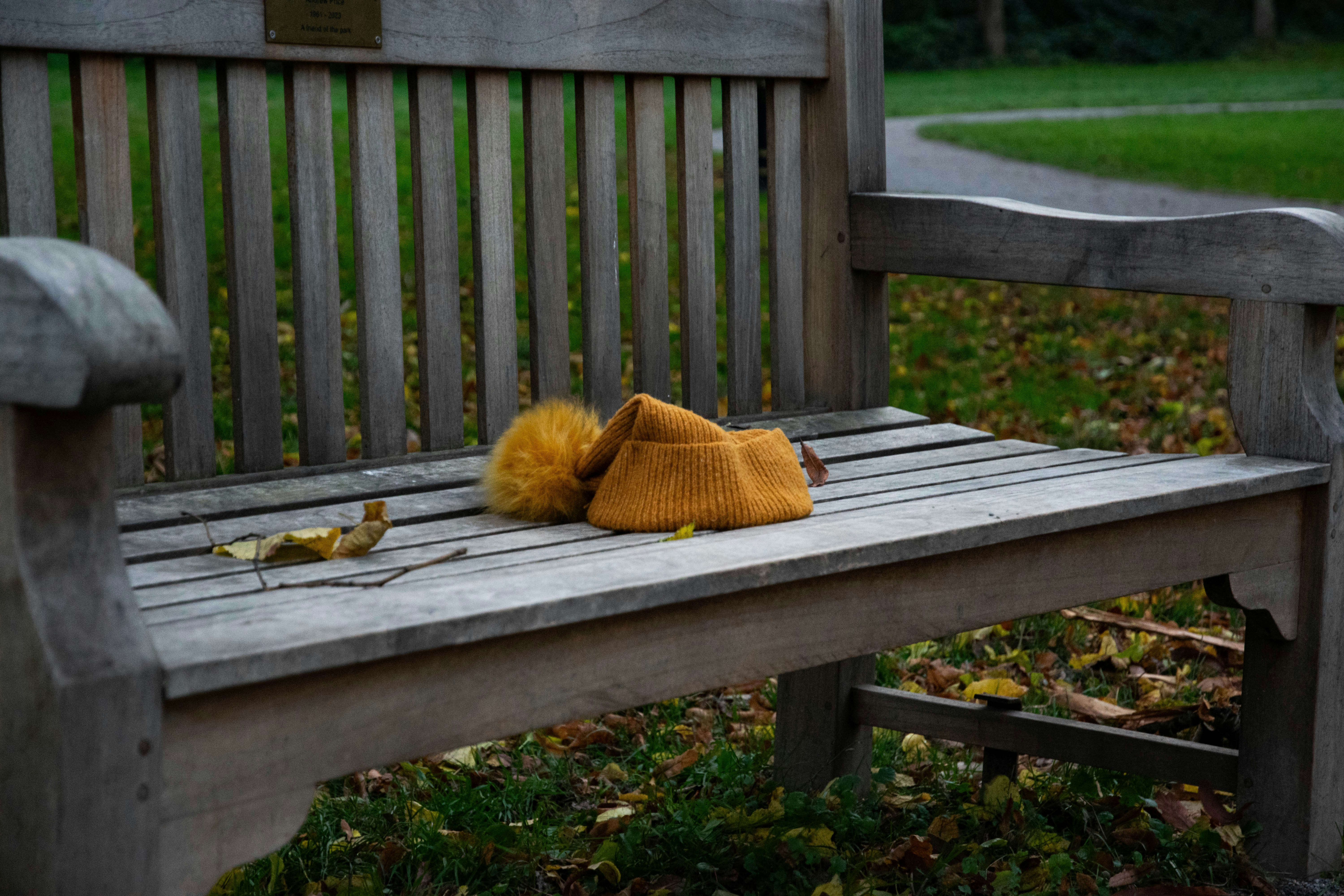 Autumn Quiet on the Park Bench