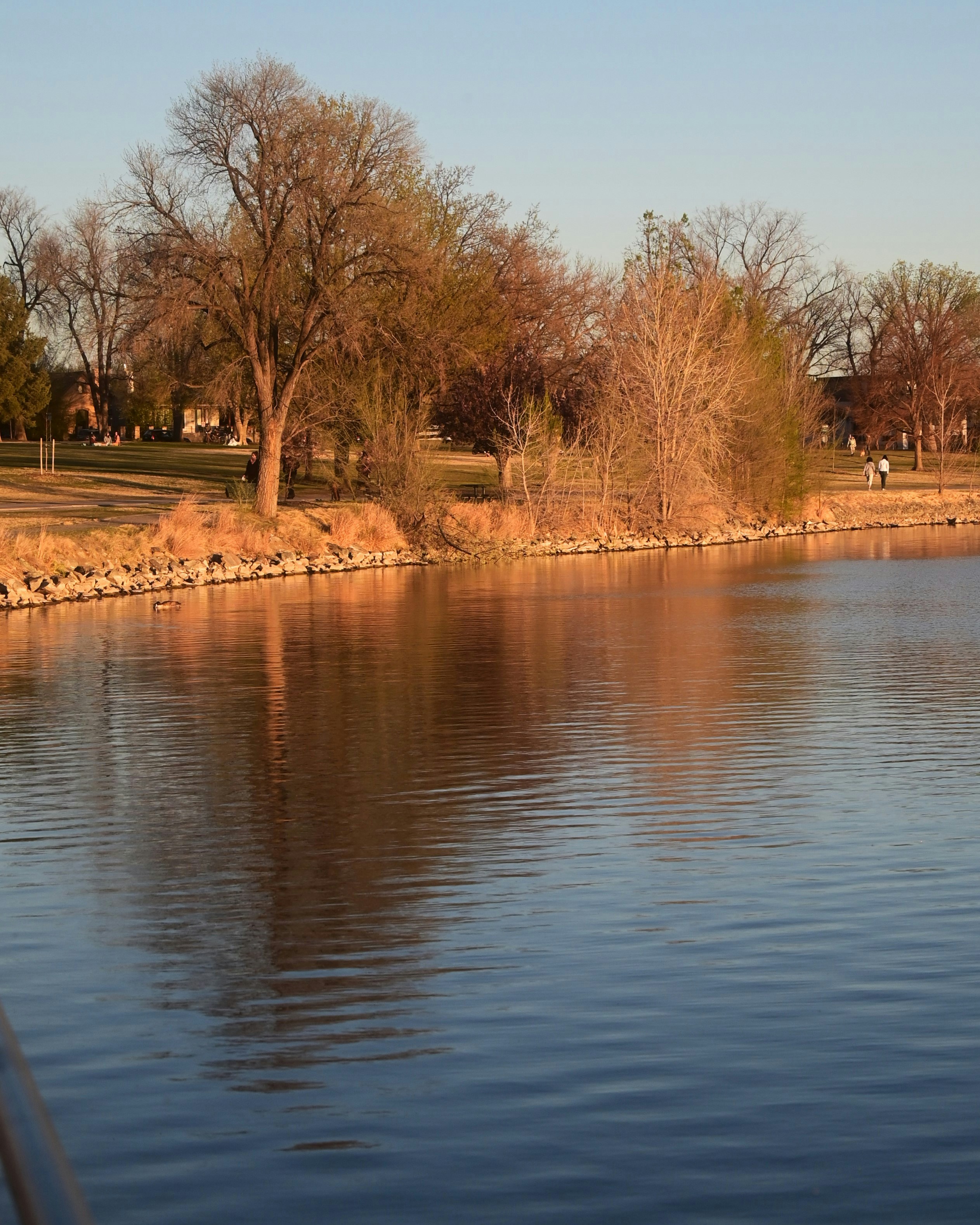 Sunlit Riverside: Autumn Light on the Quiet Shore