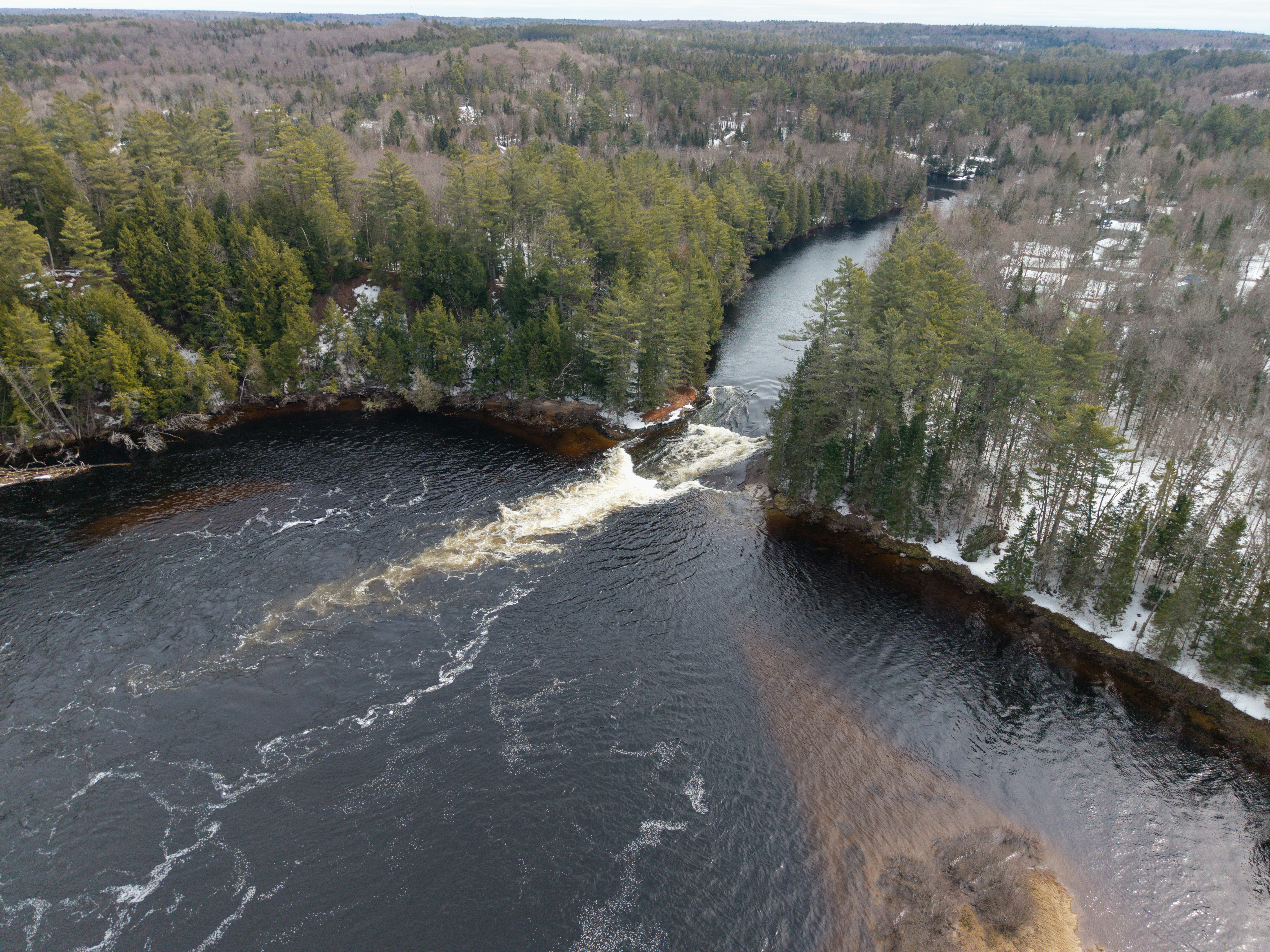 River Confluence: Snow-kissed Pines Meet a Surging Current