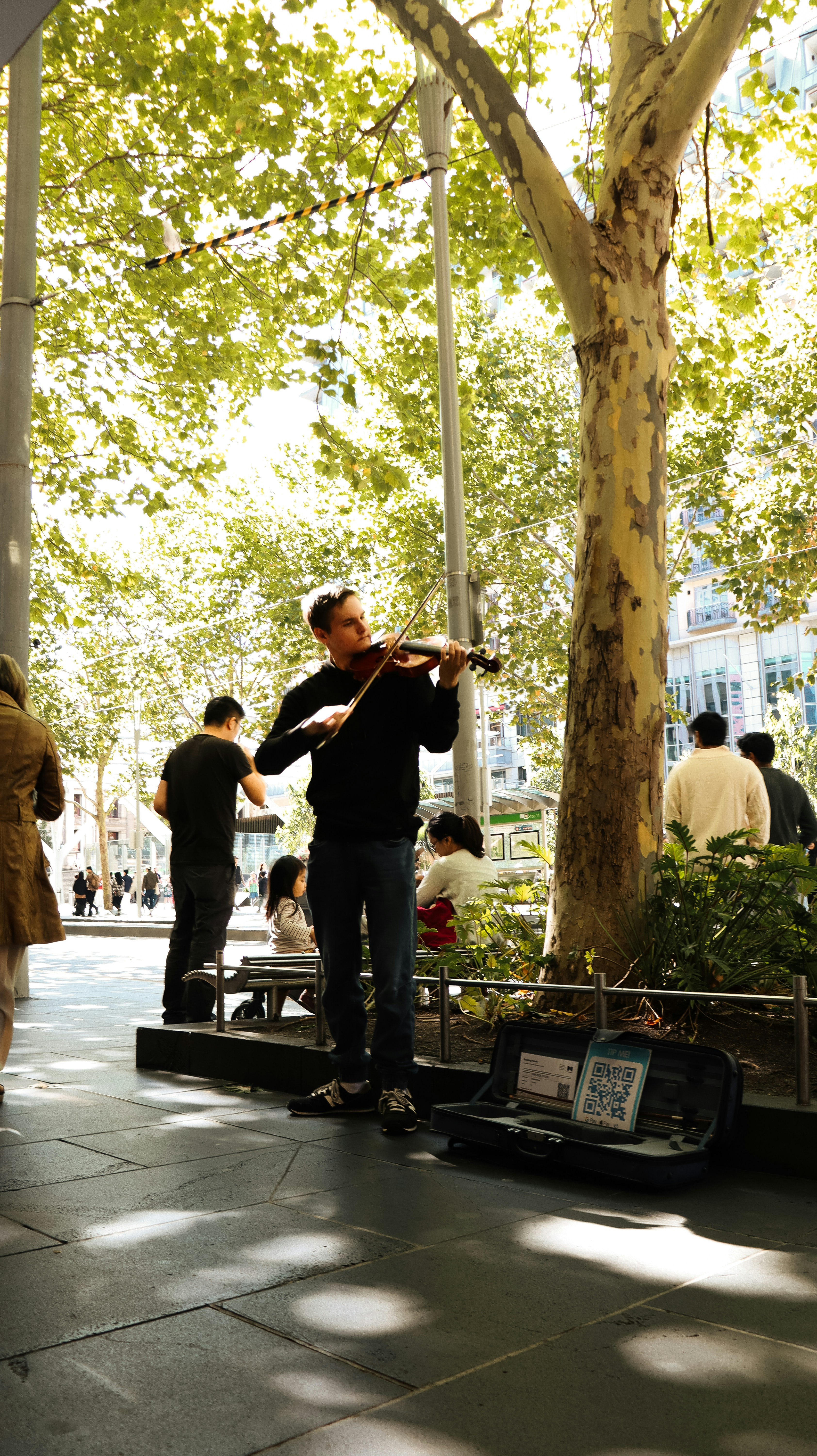 Street Violinist in Dappled Light