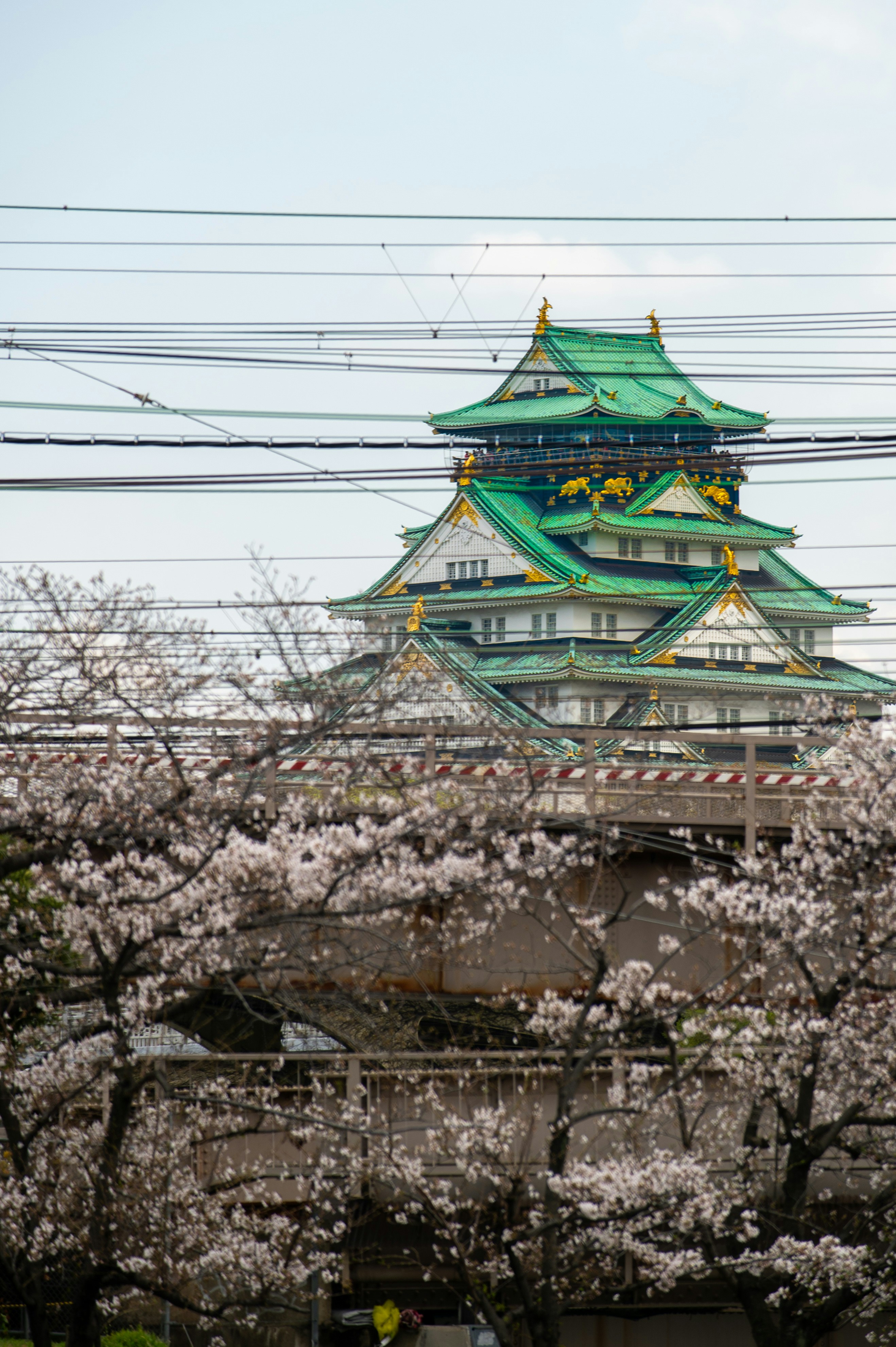 Green-roofed castle rising above cherry blossoms beneath a web of power lines