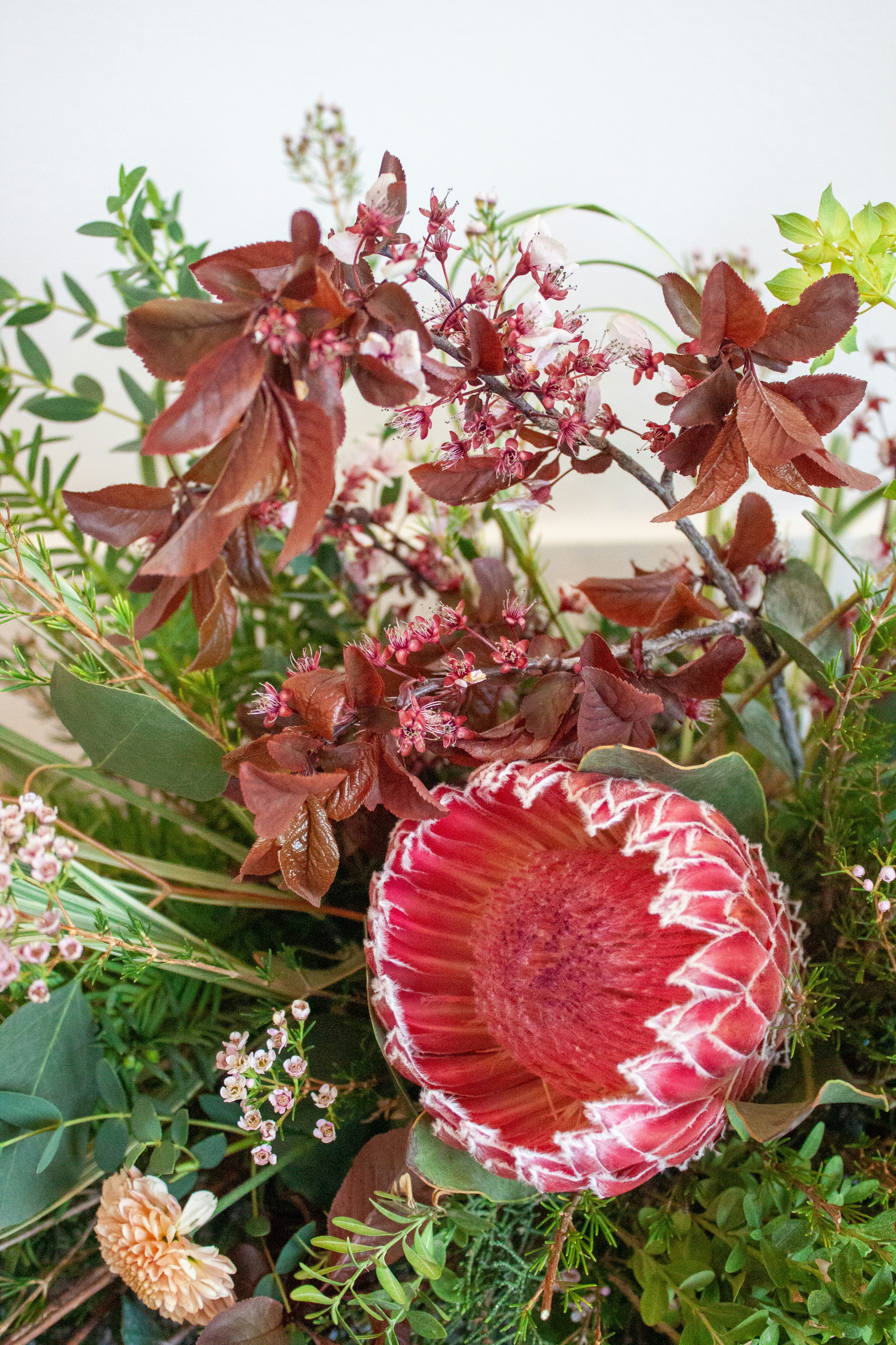 Petals and Protea: A Floral Arrangement in Fresh Focus