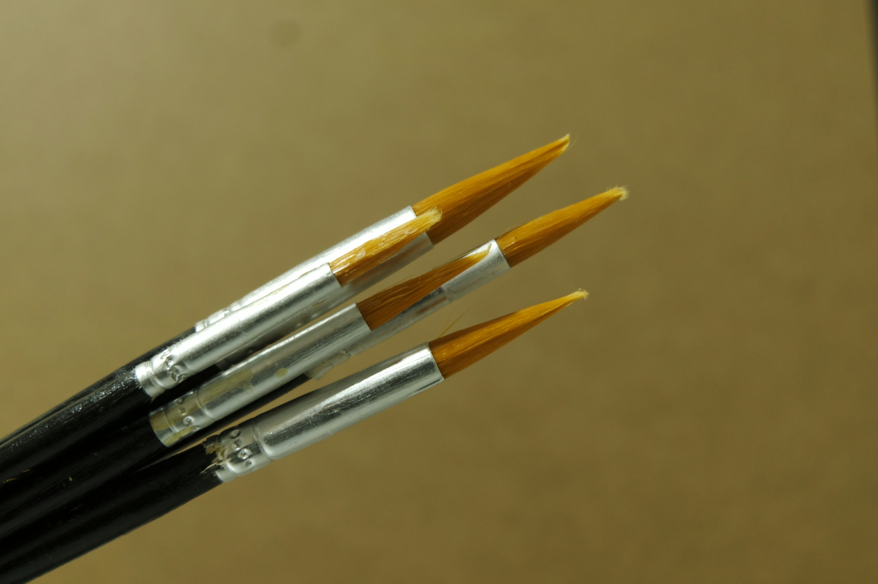 Brushstrokes of Precision: A Trio of Sharpened Tips