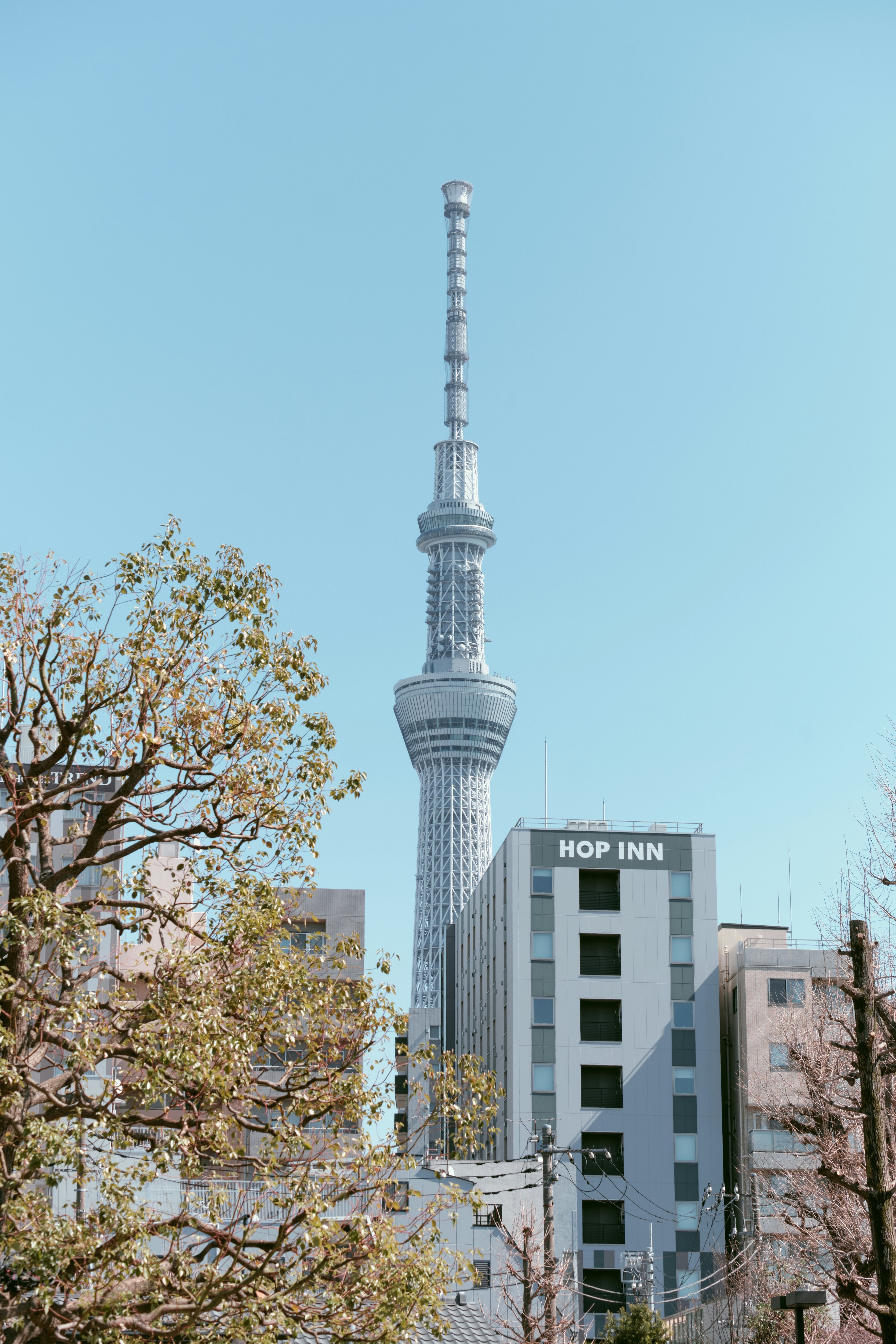 Skylight over the Hop Inn: Tokyo-like tower rising above urban silhouettes