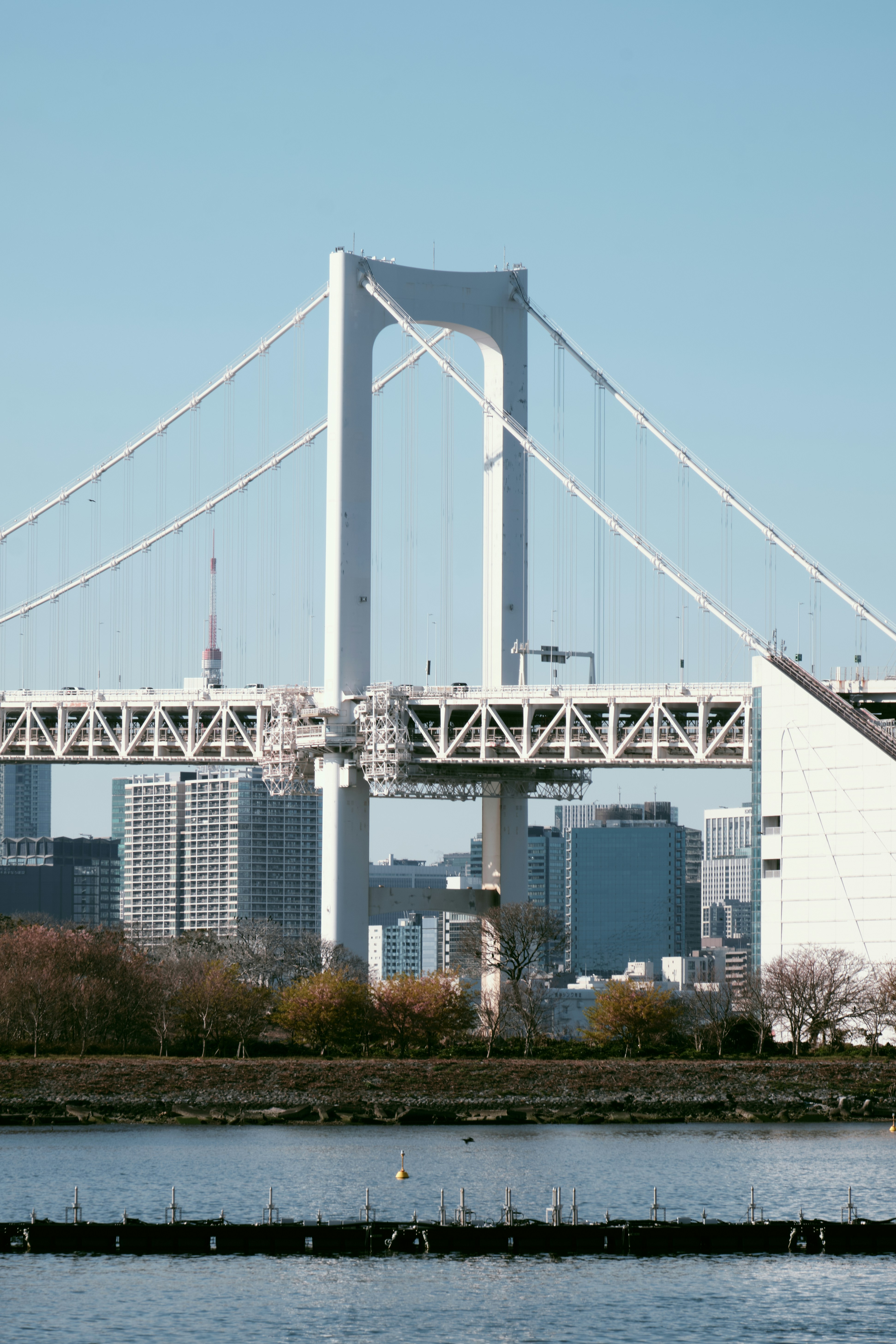 Towering Arc: A City-Bridge Slice Over Calm Ripples