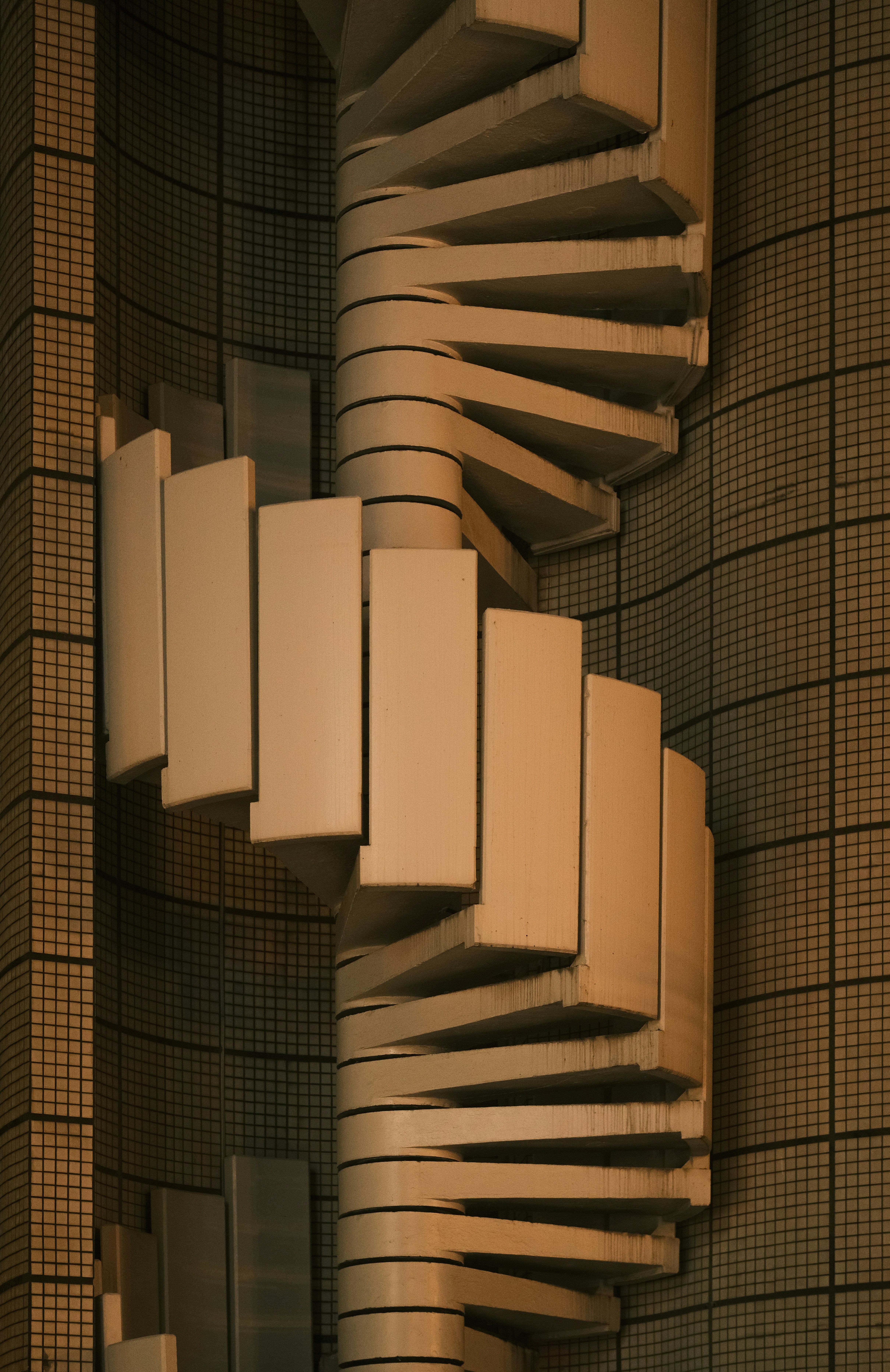 Spiral Architecture: Staircase Carpeting the Concrete Veins