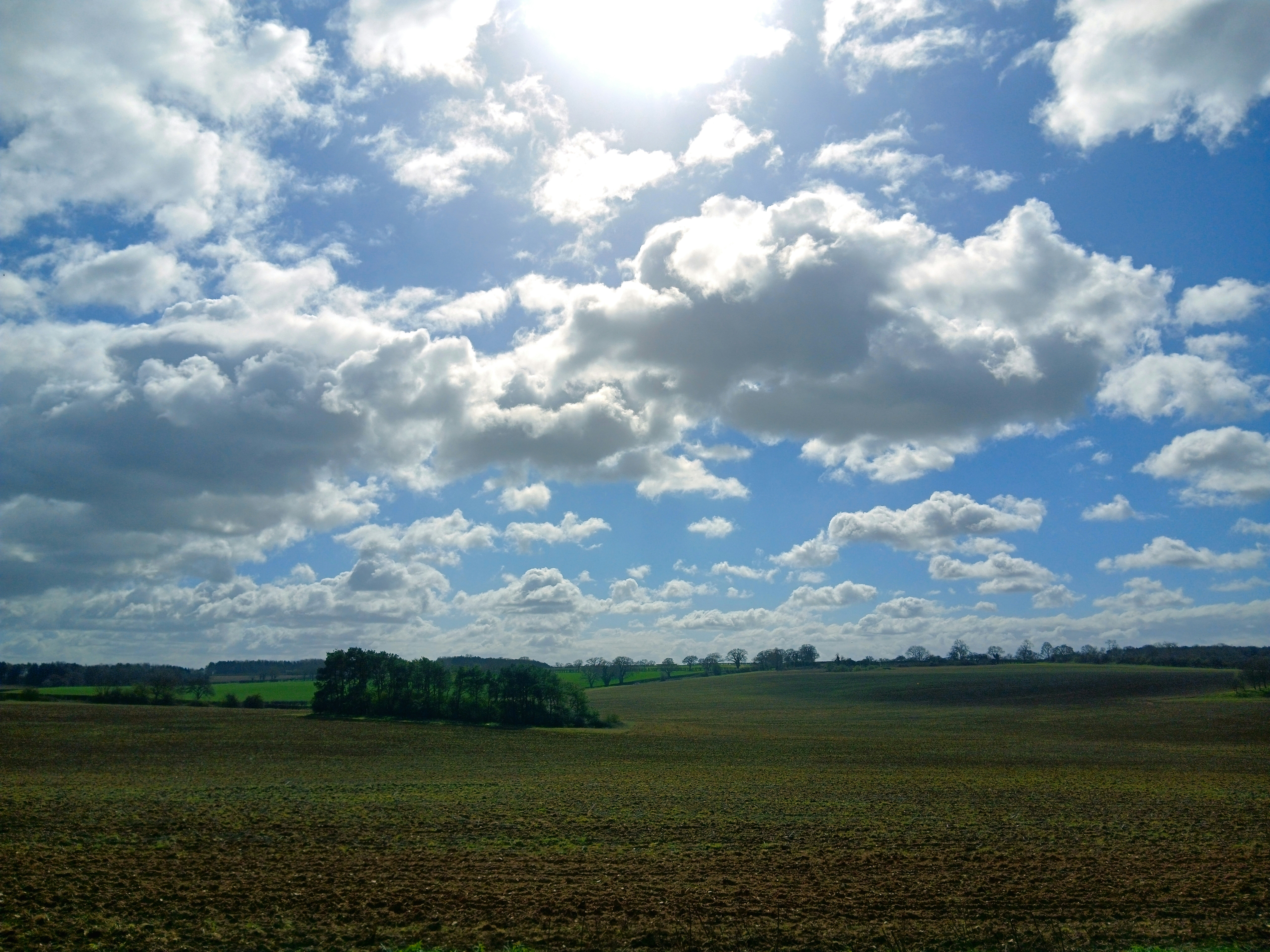 Midday Horizon: Fields Under a Looming Sky