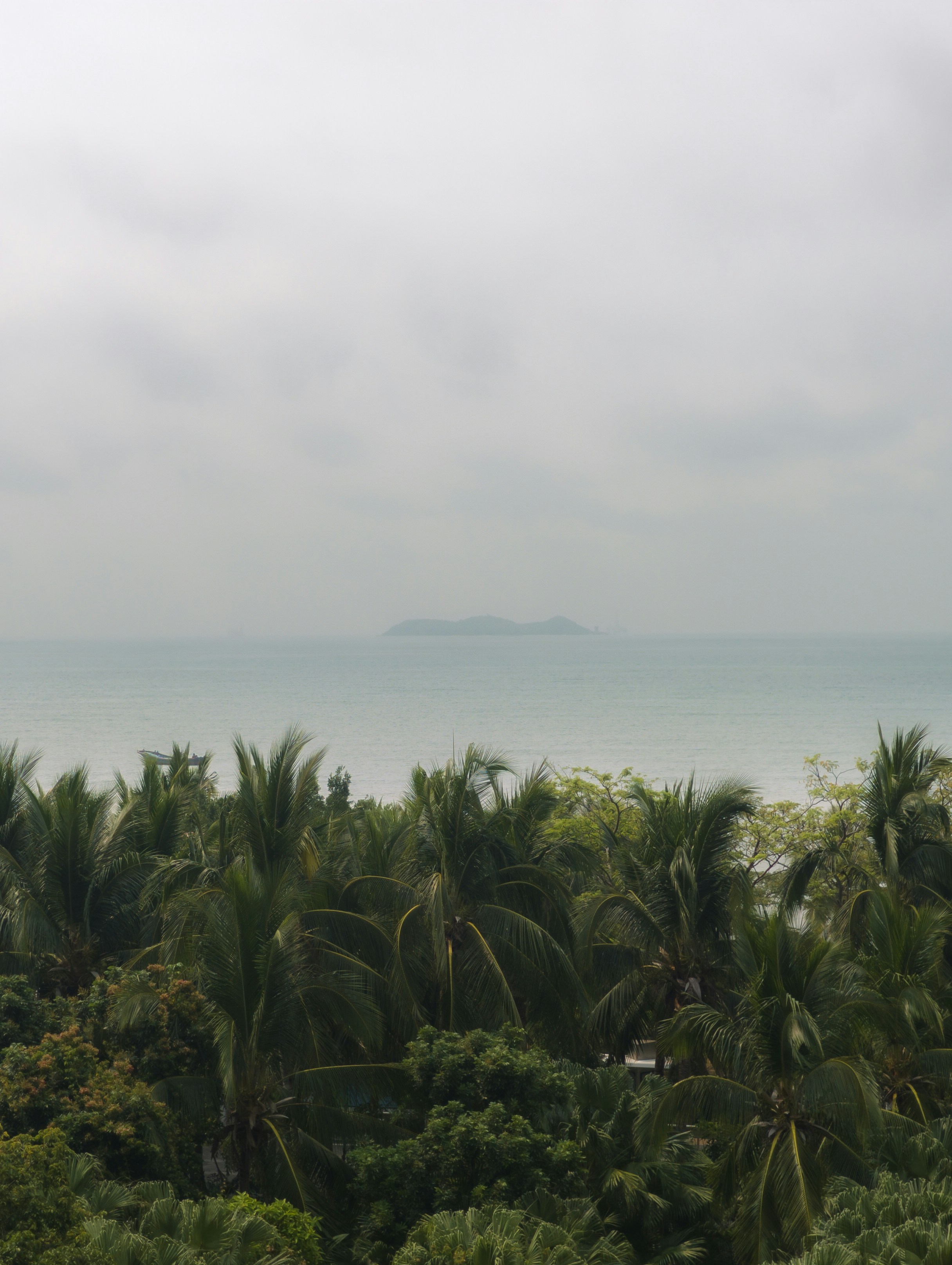 Island on the Horizon Beyond a Fringing Palm Coast